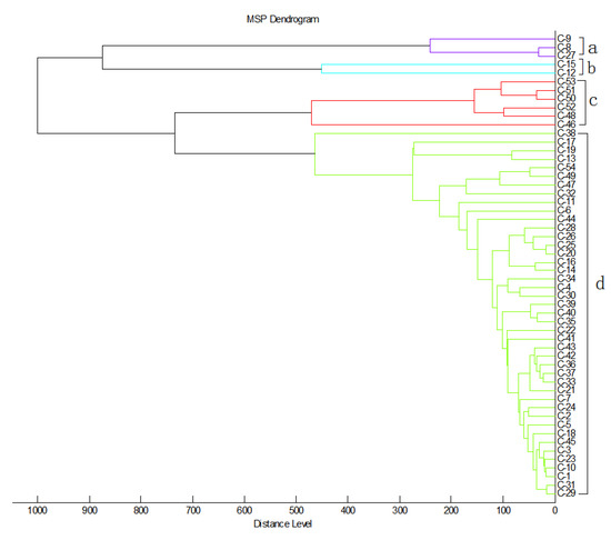 Identification and Evolutionary Relationship of Corynebacterium ...
