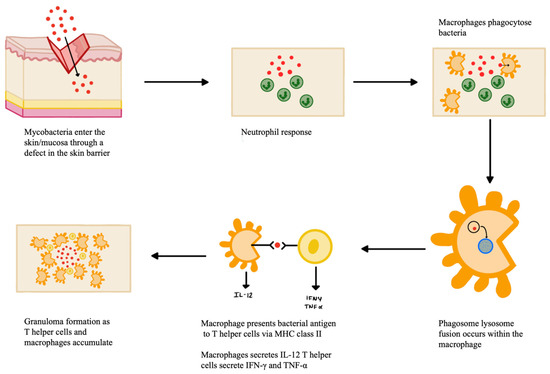 Cutaneous Manifestations of Mycobacterium tuberculosis: A Literature Review