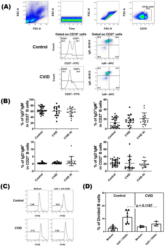 IgD+IgM− B Cells in Common Variable Immunodeficiency