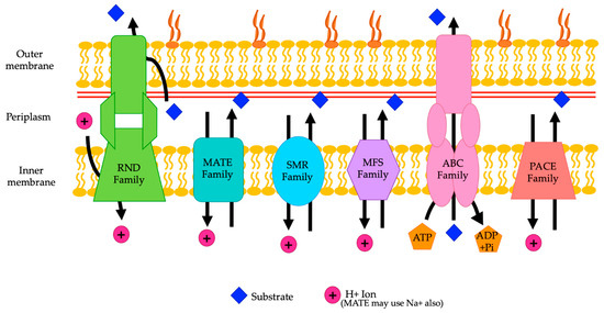 Types and Mechanisms of Efflux Pump Systems and the Potential of Efflux ...