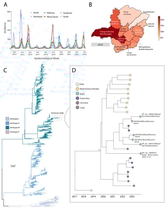 Resurgence of Dengue Virus Serotype 3 in Minas Gerais, Brazil: A Case ...