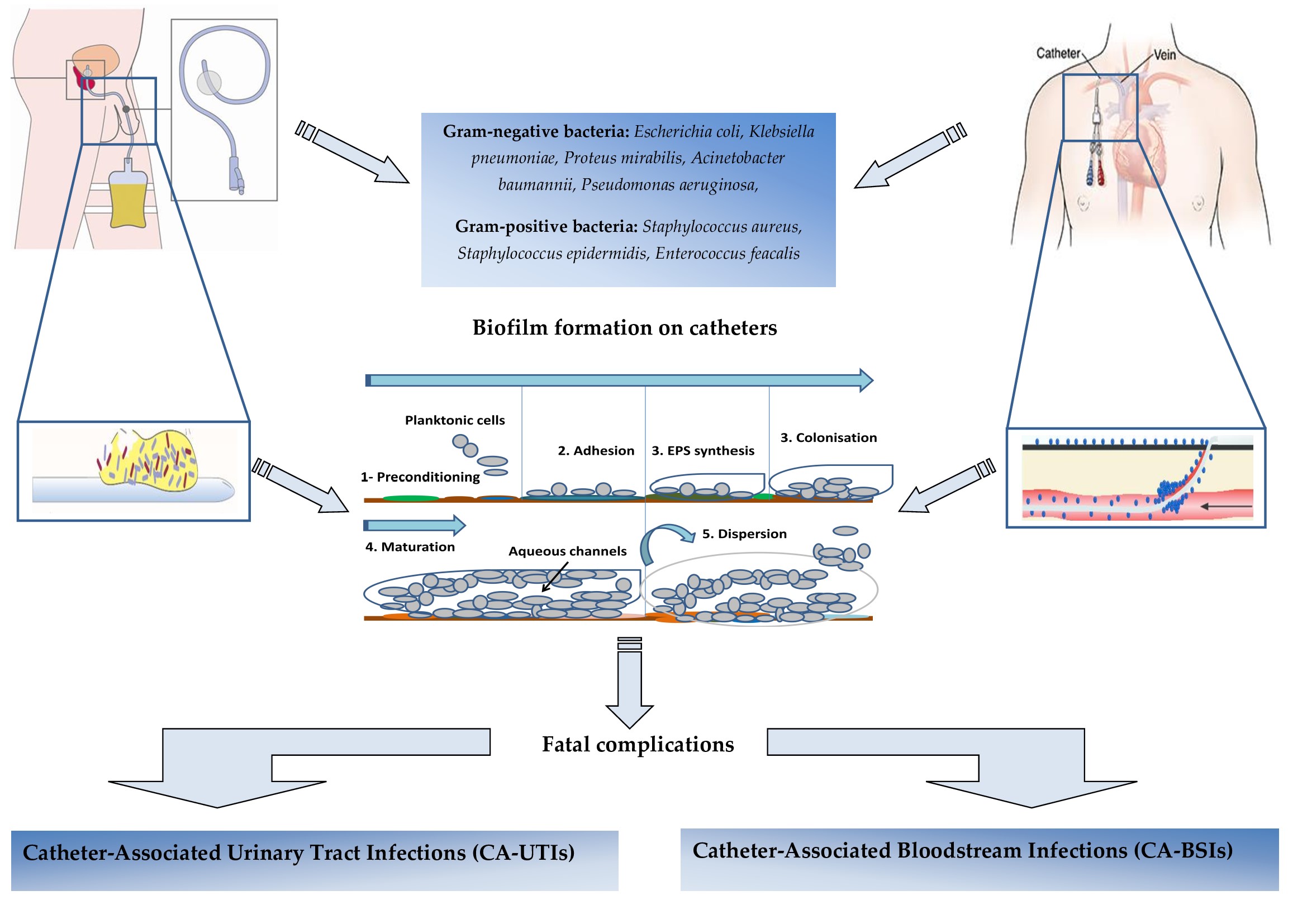 Pathogens | An Open Access Journal from MDPI