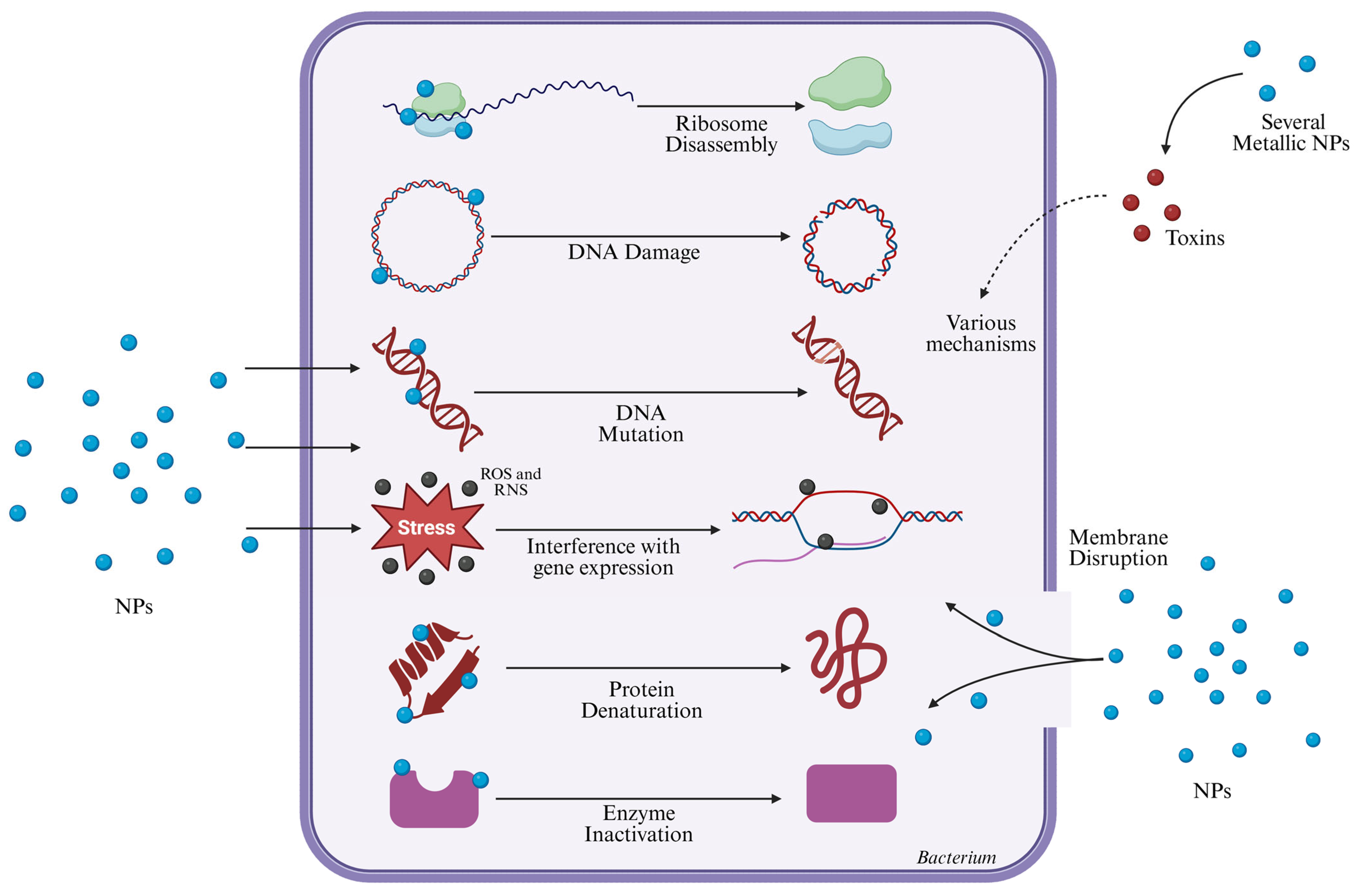 A Comprehensive Review of Nanoparticles in the Fight Against ...