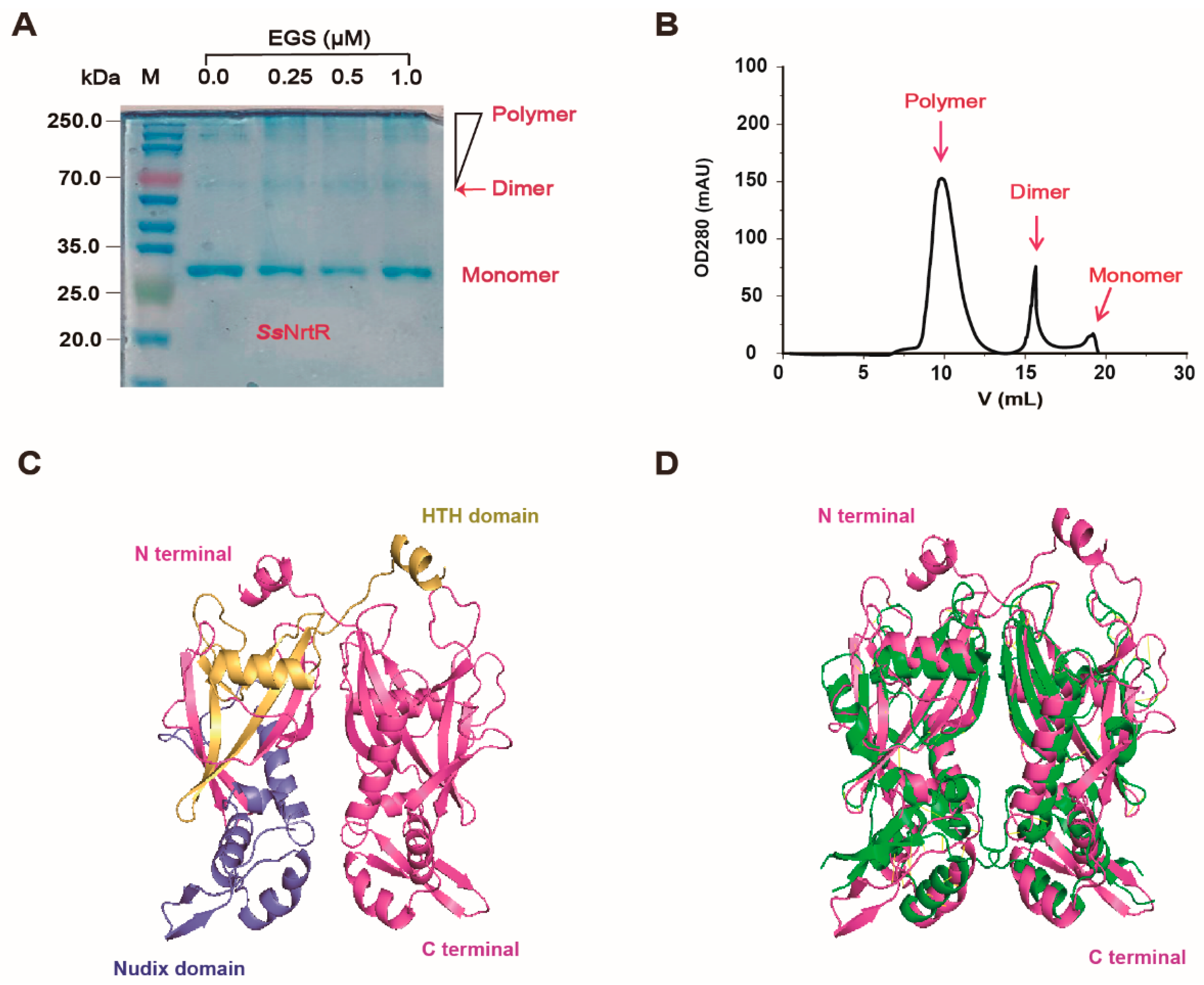 Regulation of NAD+ Homeostasis by SsNrtR in Streptococcus Sobrinus: A ...
