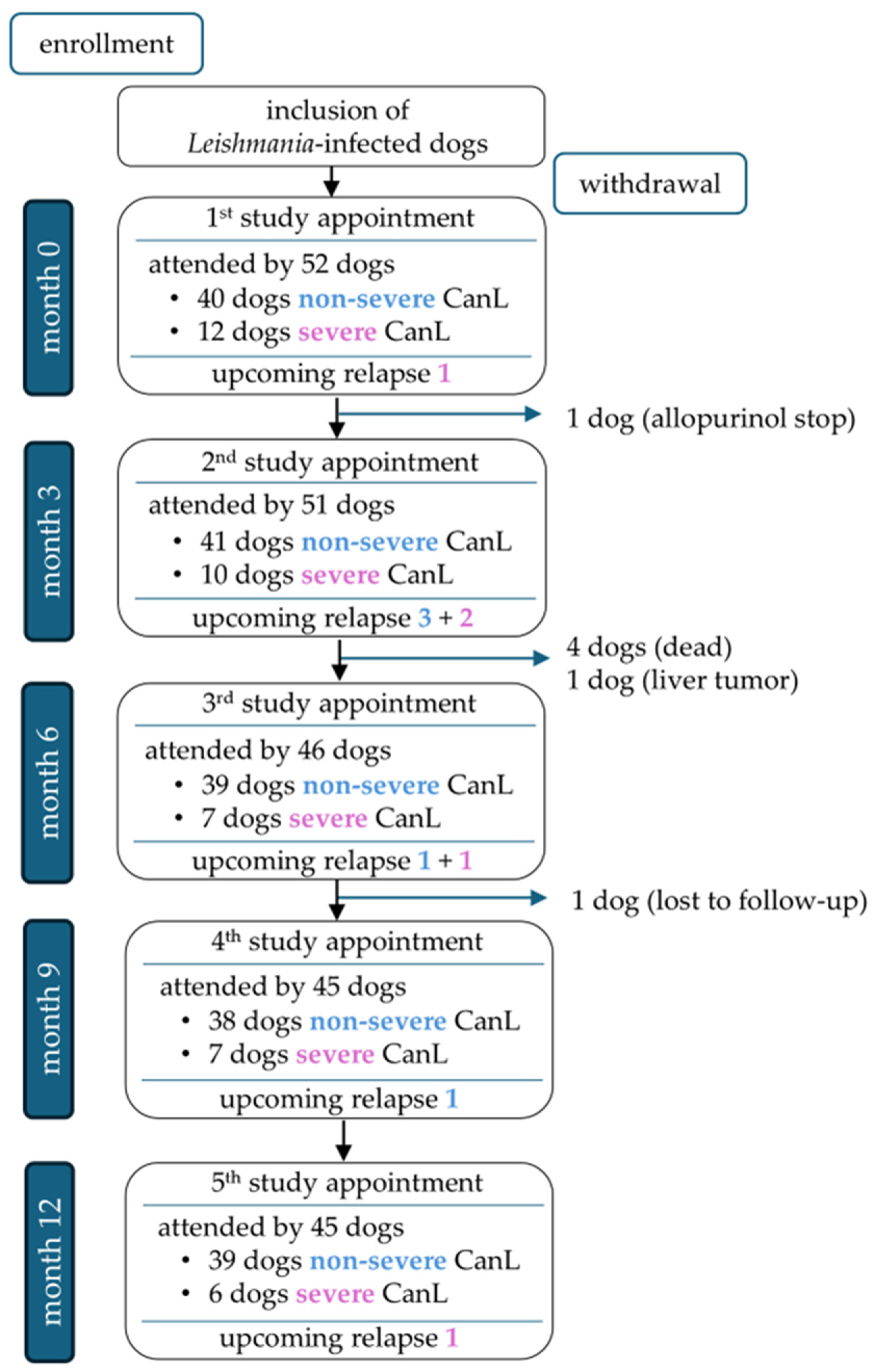 Importance of Different Parameters for Monitoring Dogs with Leishmania ...