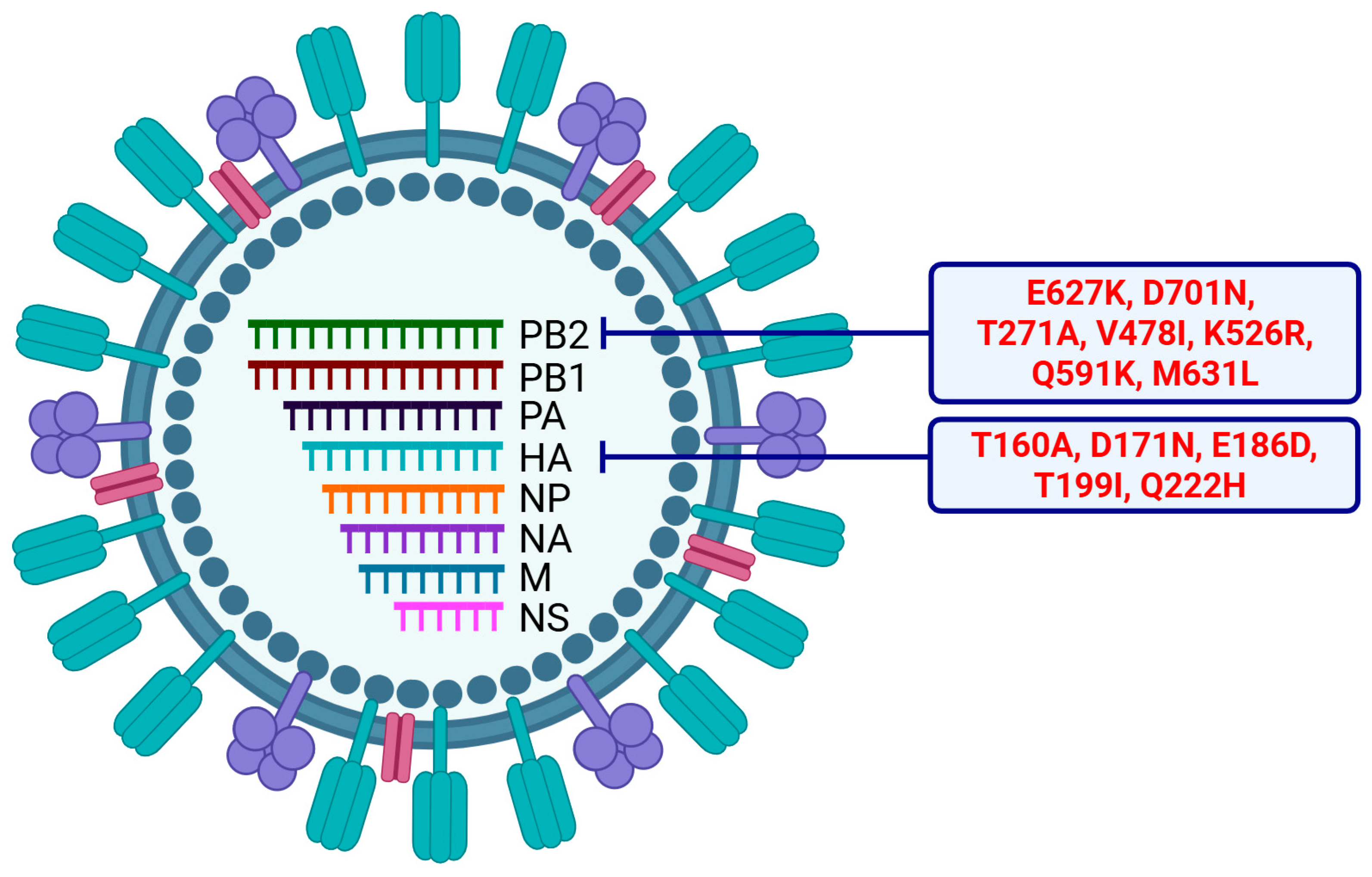 Influenza A Virus H5N1 Subtype: Resurgent Interspecies and ...