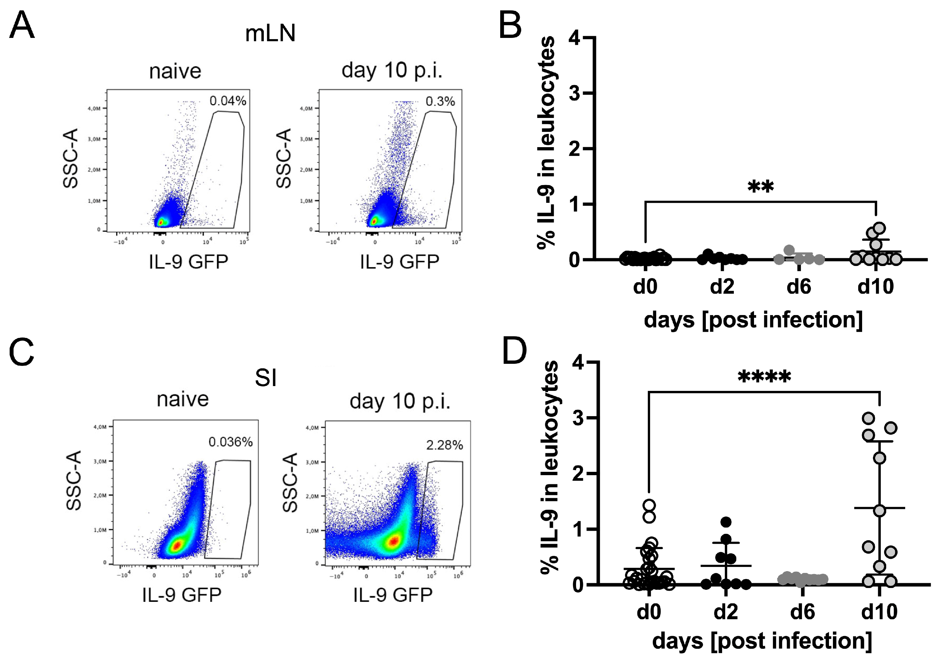 Dynamics of Interleukin-9 Producing Lymphocytes in Strongyloides ratti ...