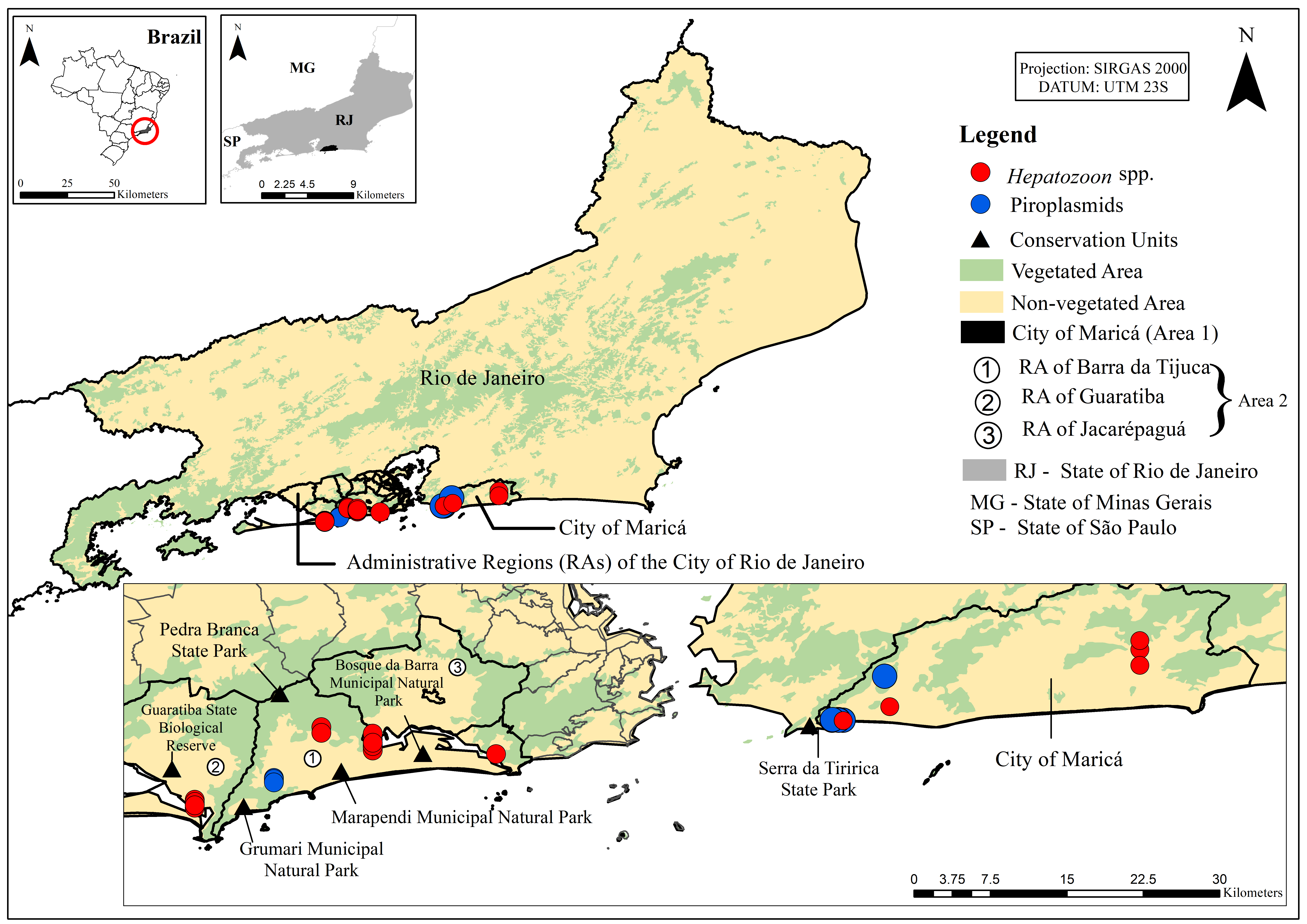 Molecular Epidemiology of Babesia vogeli and Hepatozoon canis in Dogs ...