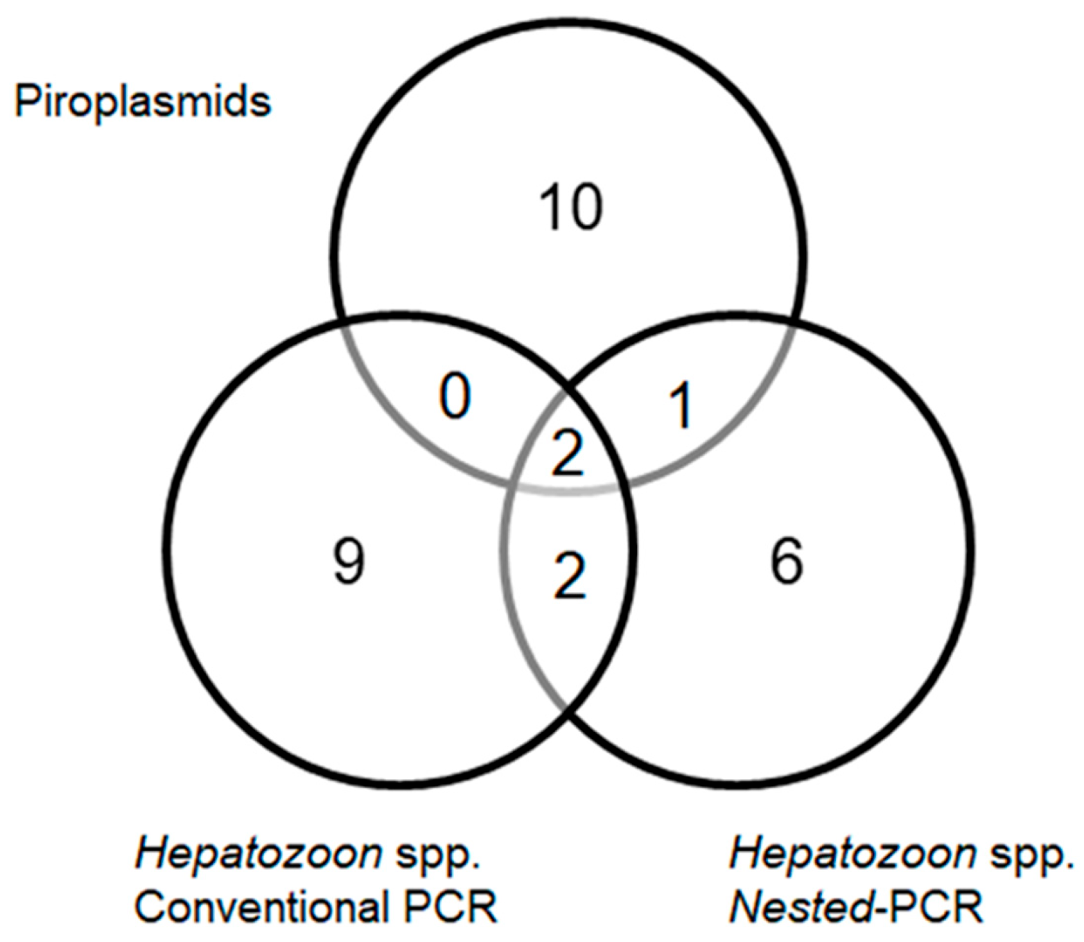 Molecular Epidemiology of Babesia vogeli and Hepatozoon canis in Dogs ...