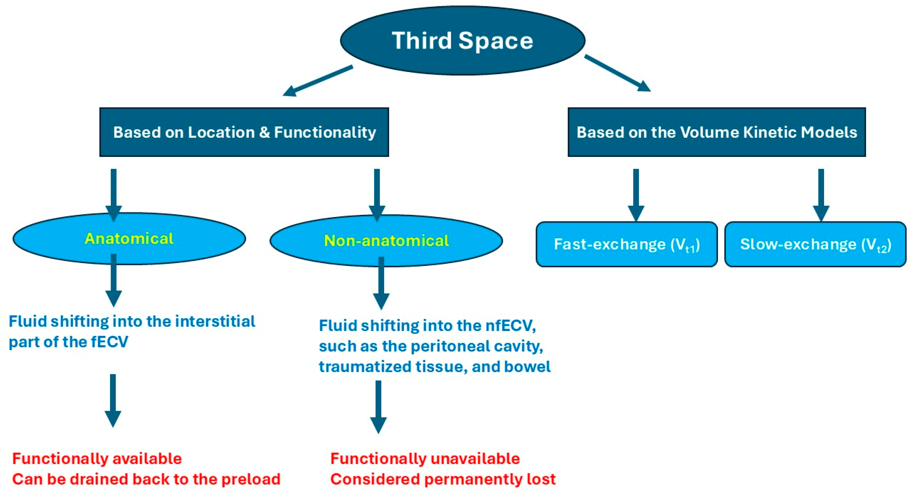 Hypovolemic Shock in the Setting of Third Spacing with Concentric Left ...