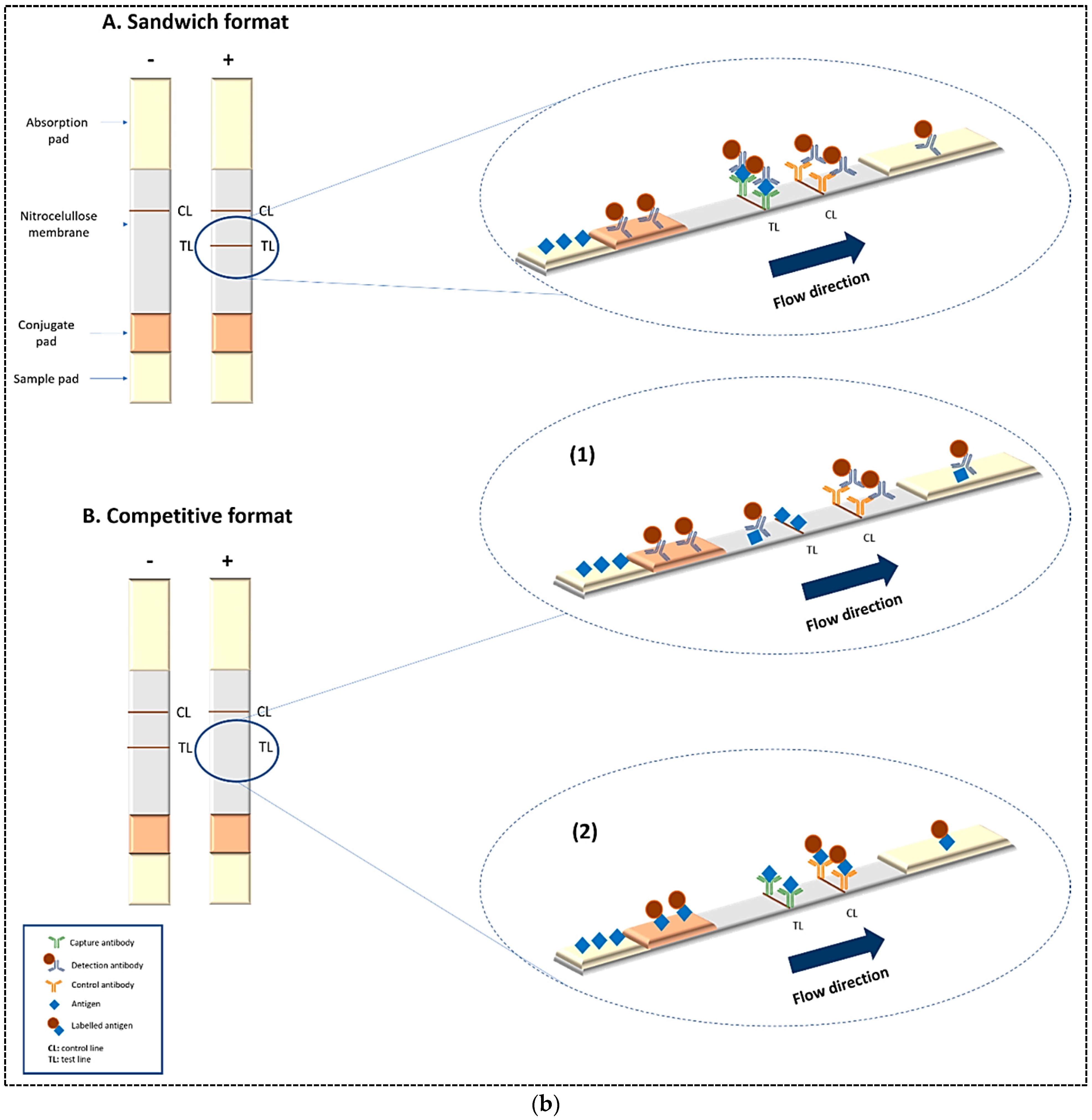 Sensitive Environmental DNA Detection Via Lateral Flow 45 OFF Sensitive Environmental DNA Detection Via Lateral Flow 45 OFF