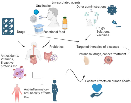 Encapsulation: A Strategy to Deliver Therapeutics and Bioactive Compounds?