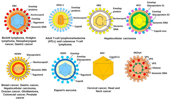 Oncogenic Viruses-Encoded microRNAs and Their Role in the Progression ...