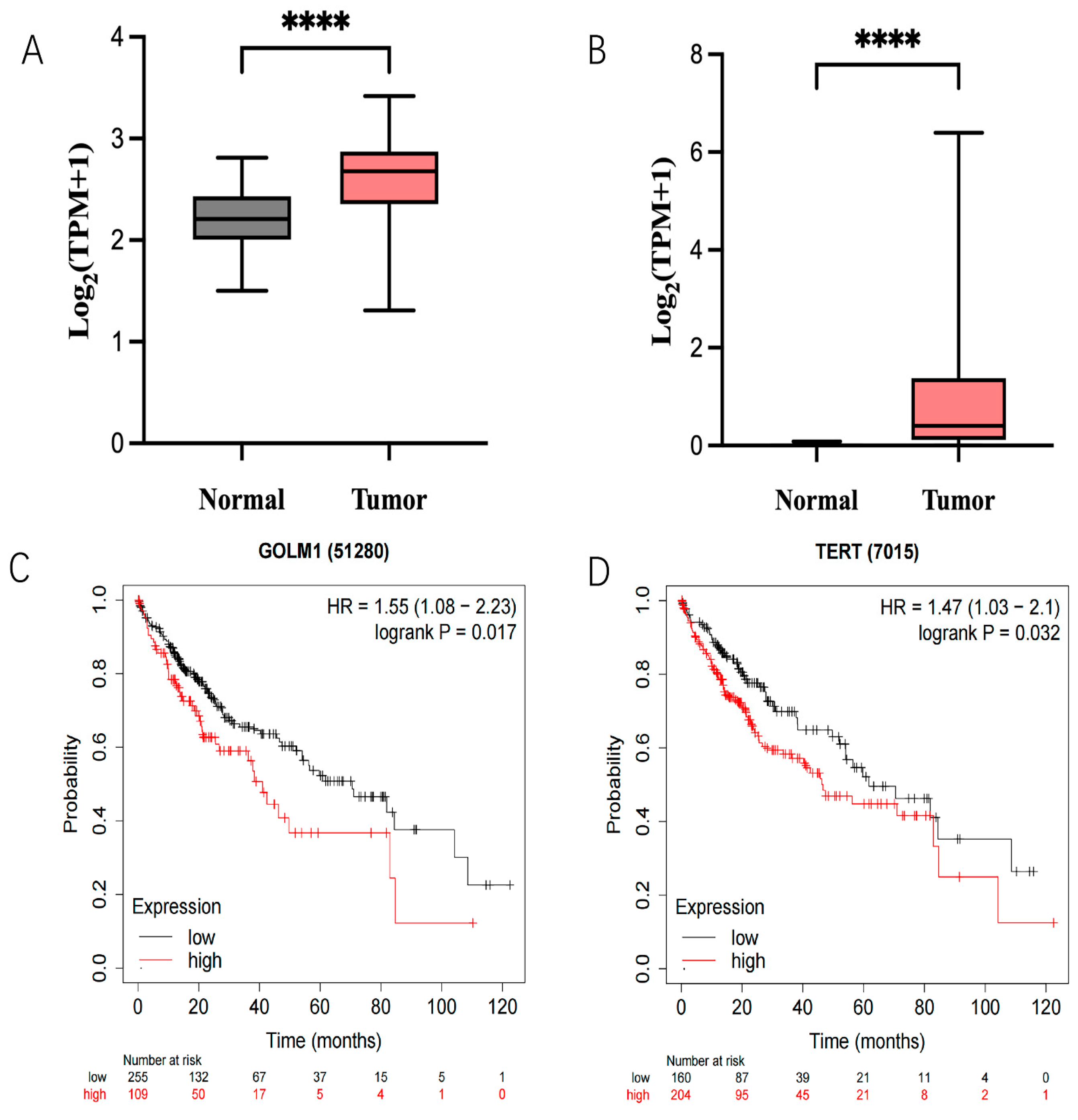 Development of a Dual Gene-Targeted Multi-Sirna with Branched Structure ...