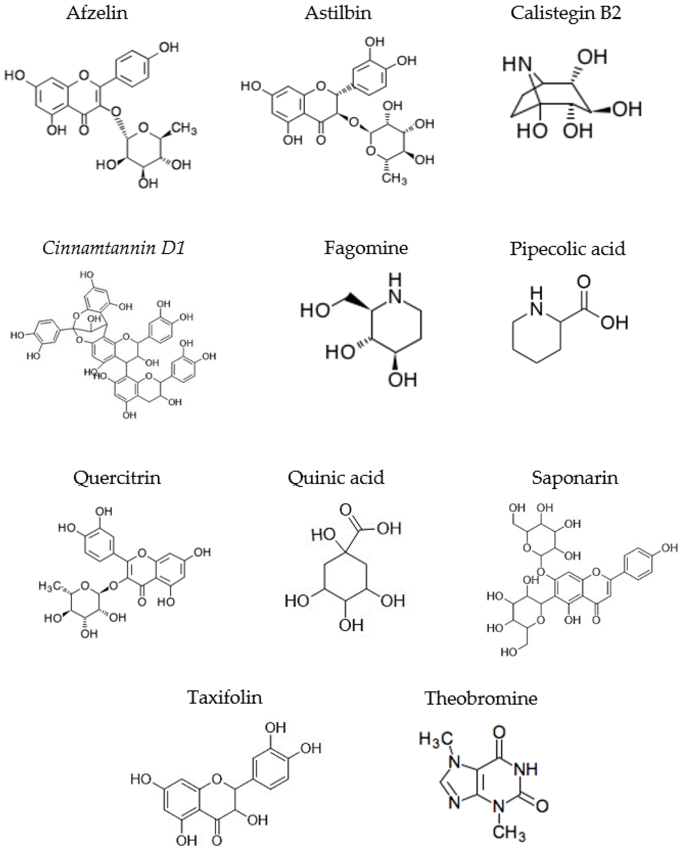 Biosynthesis of Silver Nanoparticles from Paullinia cupana Kunth Leaf ...