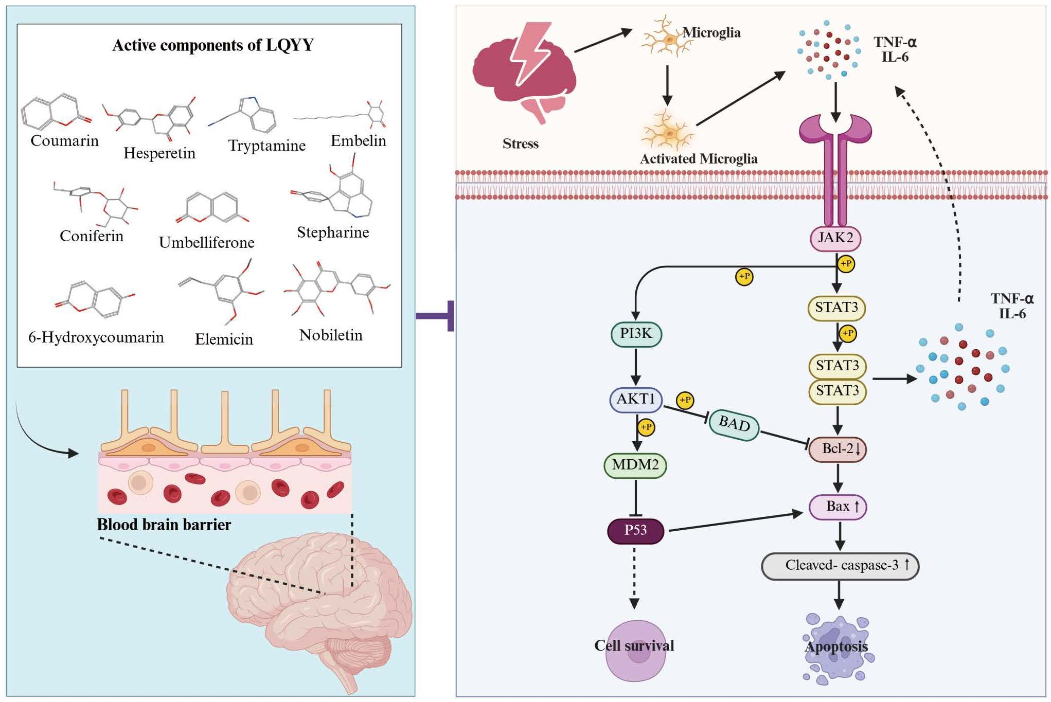 Elucidating the Mechanism of the Liqi Yangyin Formula in Treating ...