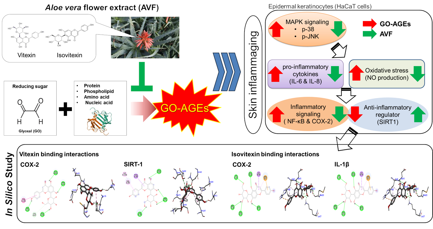 Exploring the Anti-Inflammatory Effects of Aloe vera Flower (AVF) and ...