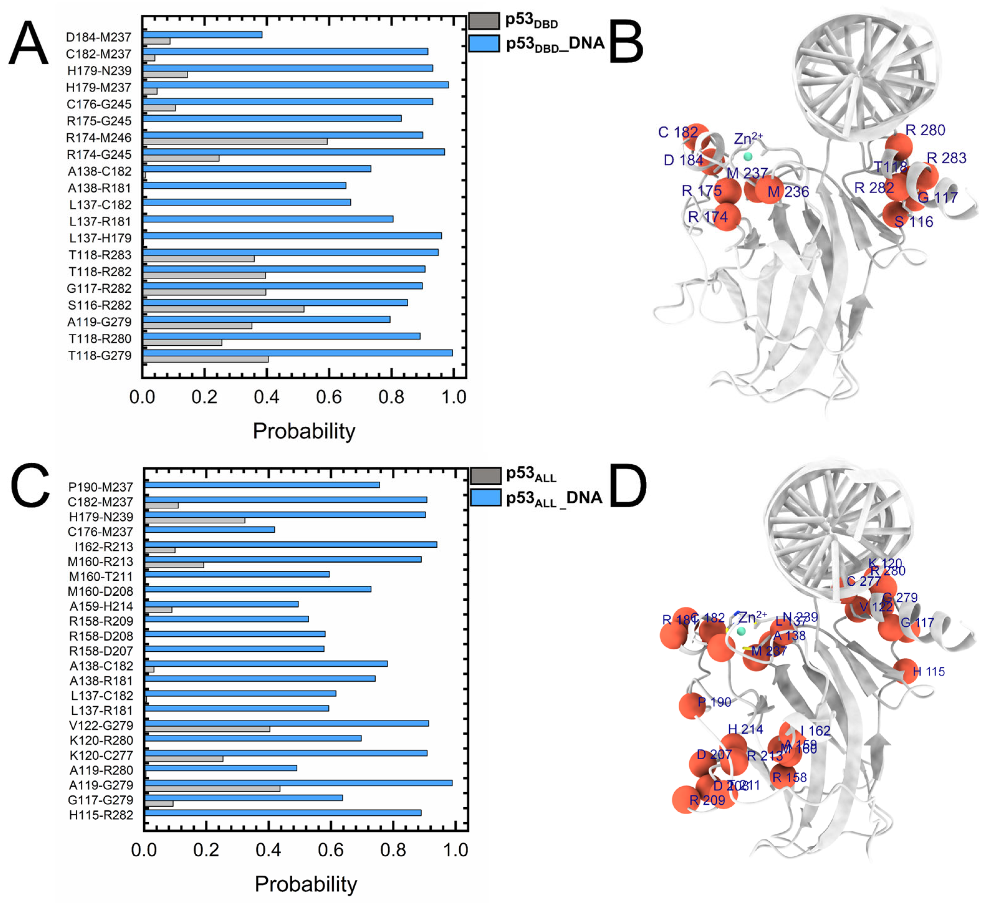 The Allosteric Regulation of the DNA-Binding Domain of p53 by the ...