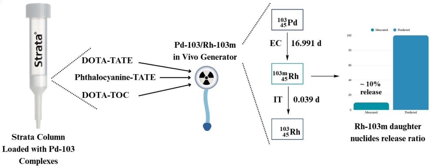 Evaluation of Daughter Radionuclide Release from the 103Pd/103mRh In ...