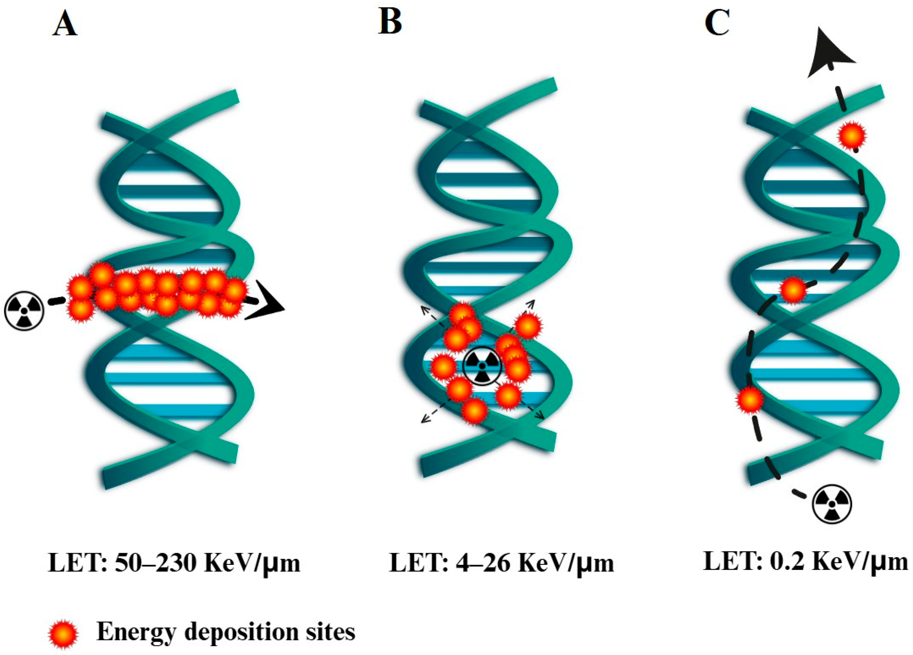 Evaluation of Daughter Radionuclide Release from the 103Pd/103mRh In ...
