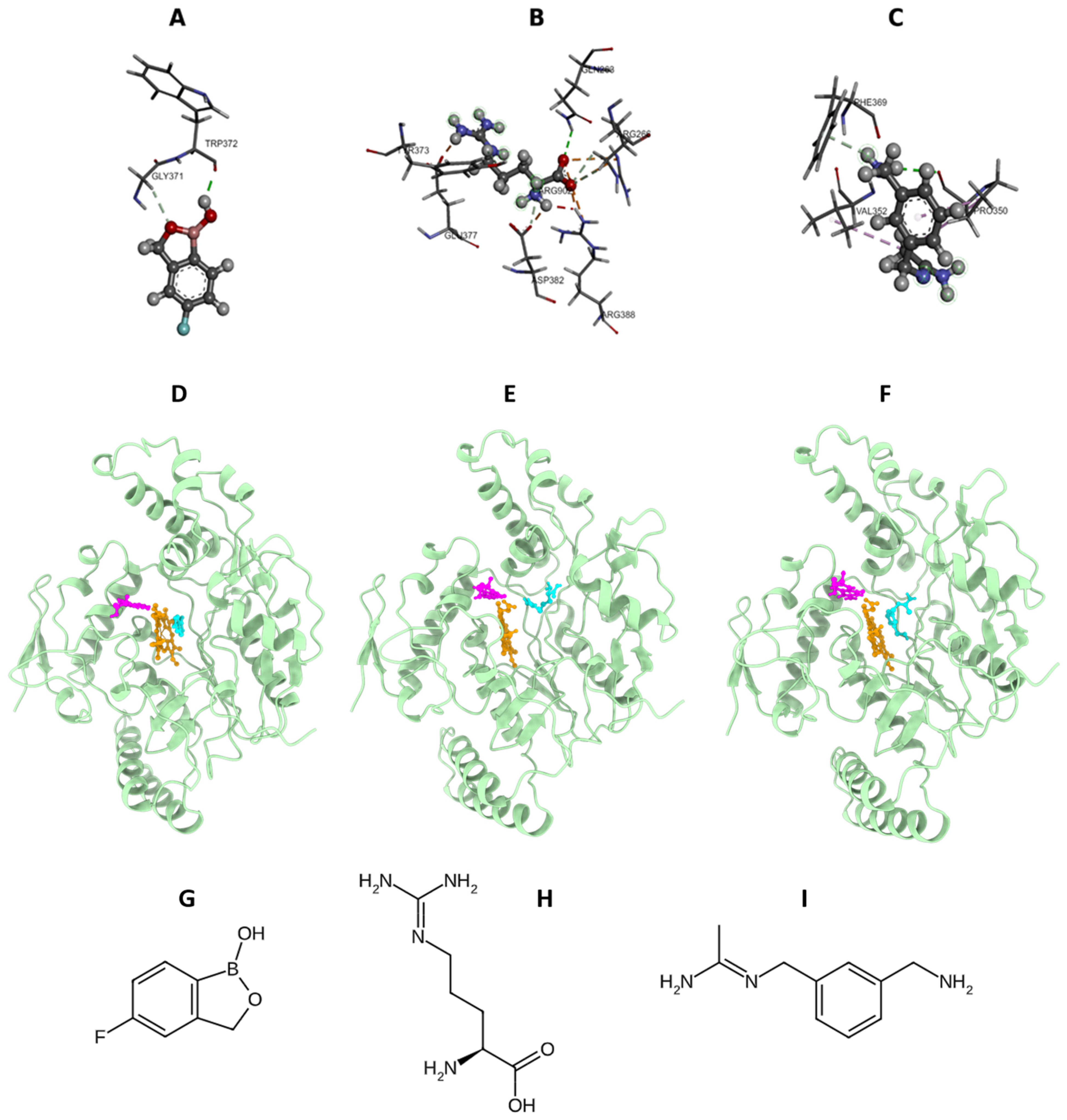 Decoding iNOS Inhibition: A Computational Voyage of Tavaborole Toward ...