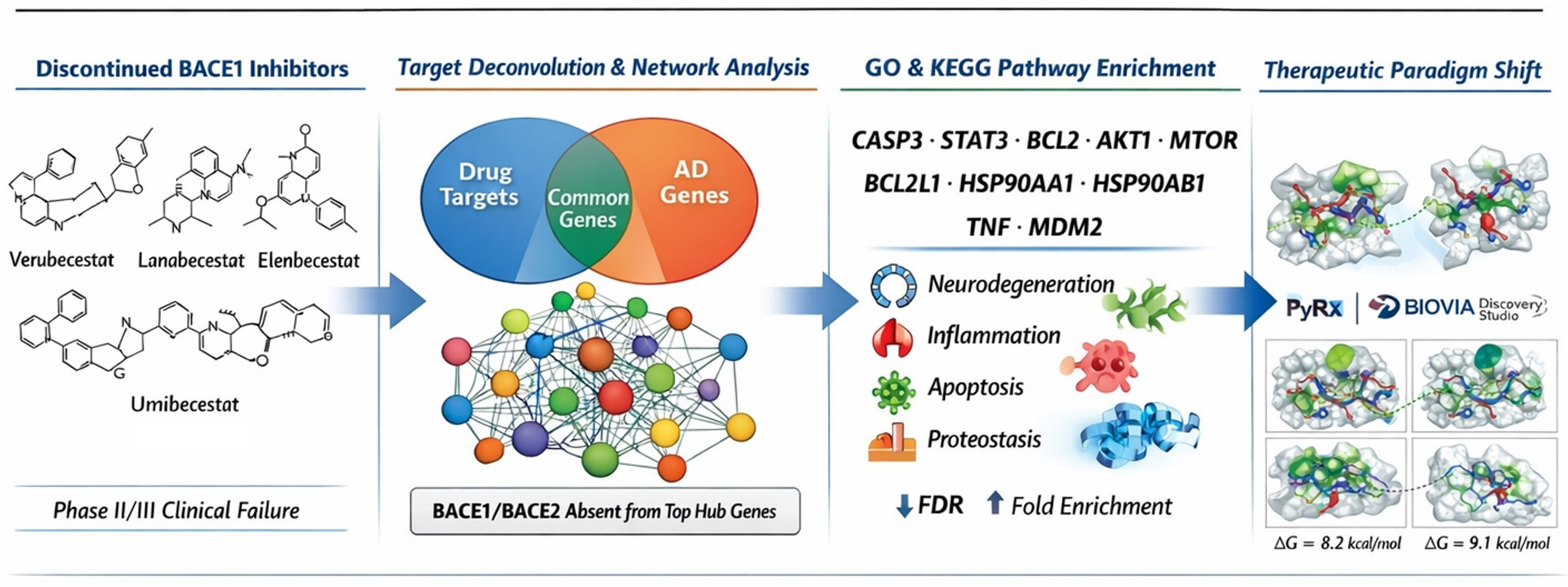 Discontinued BACE1 Inhibitors in Phase II/III Clinical Trials and AM ...