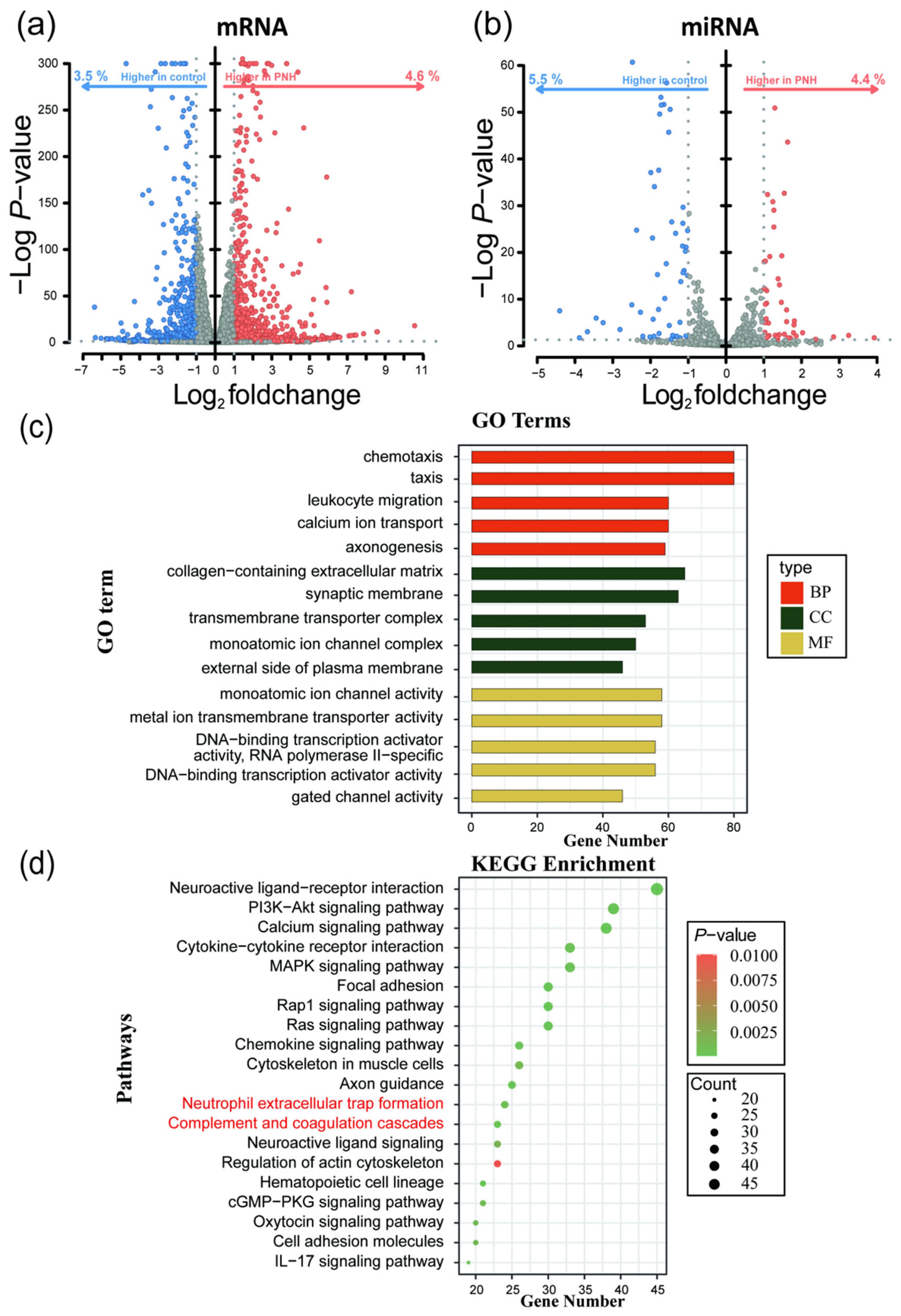 Integrative miRNA–mRNA Network and Molecular Dynamics-Based ...