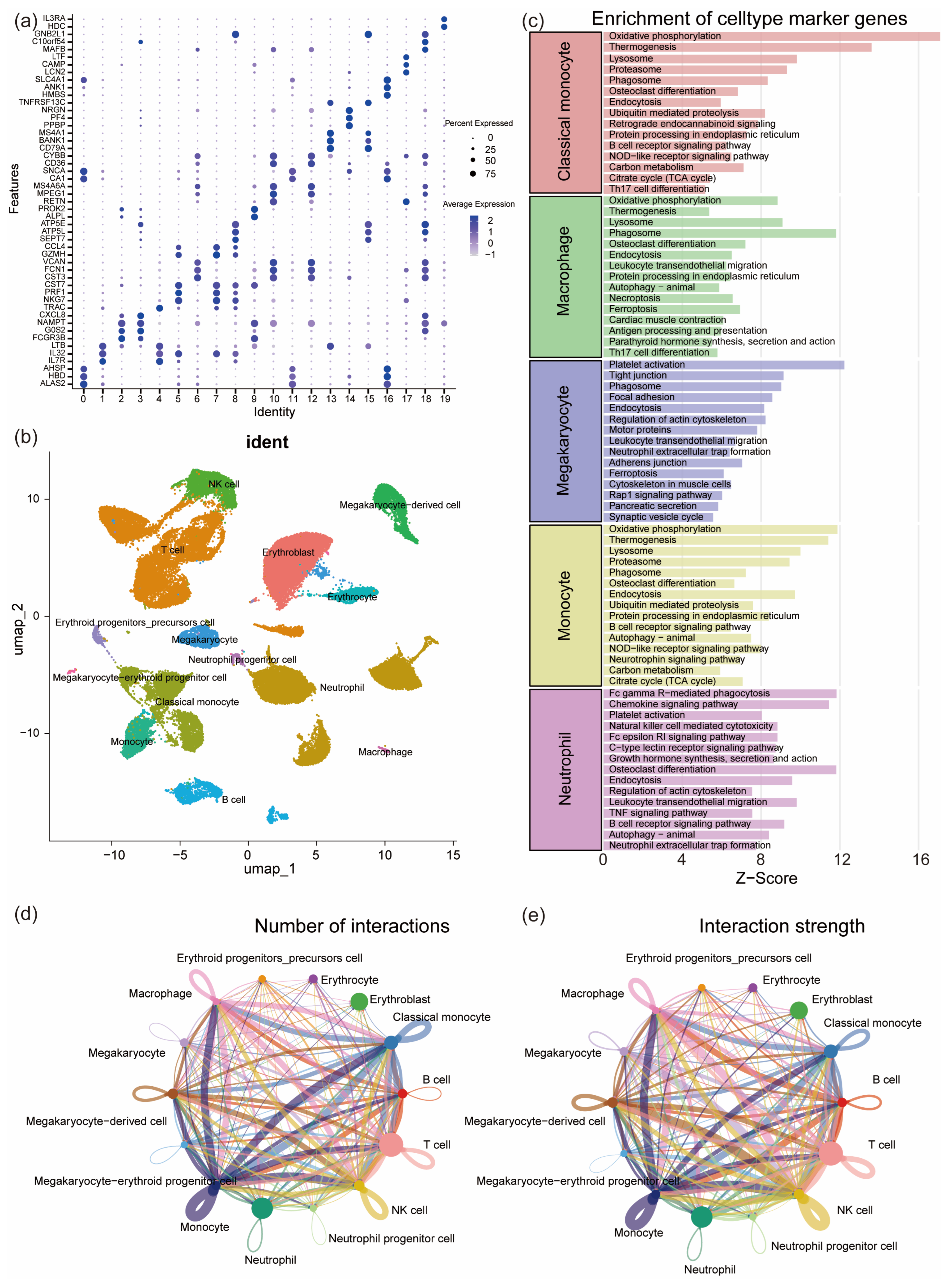 Integrative miRNA–mRNA Network and Molecular Dynamics-Based ...