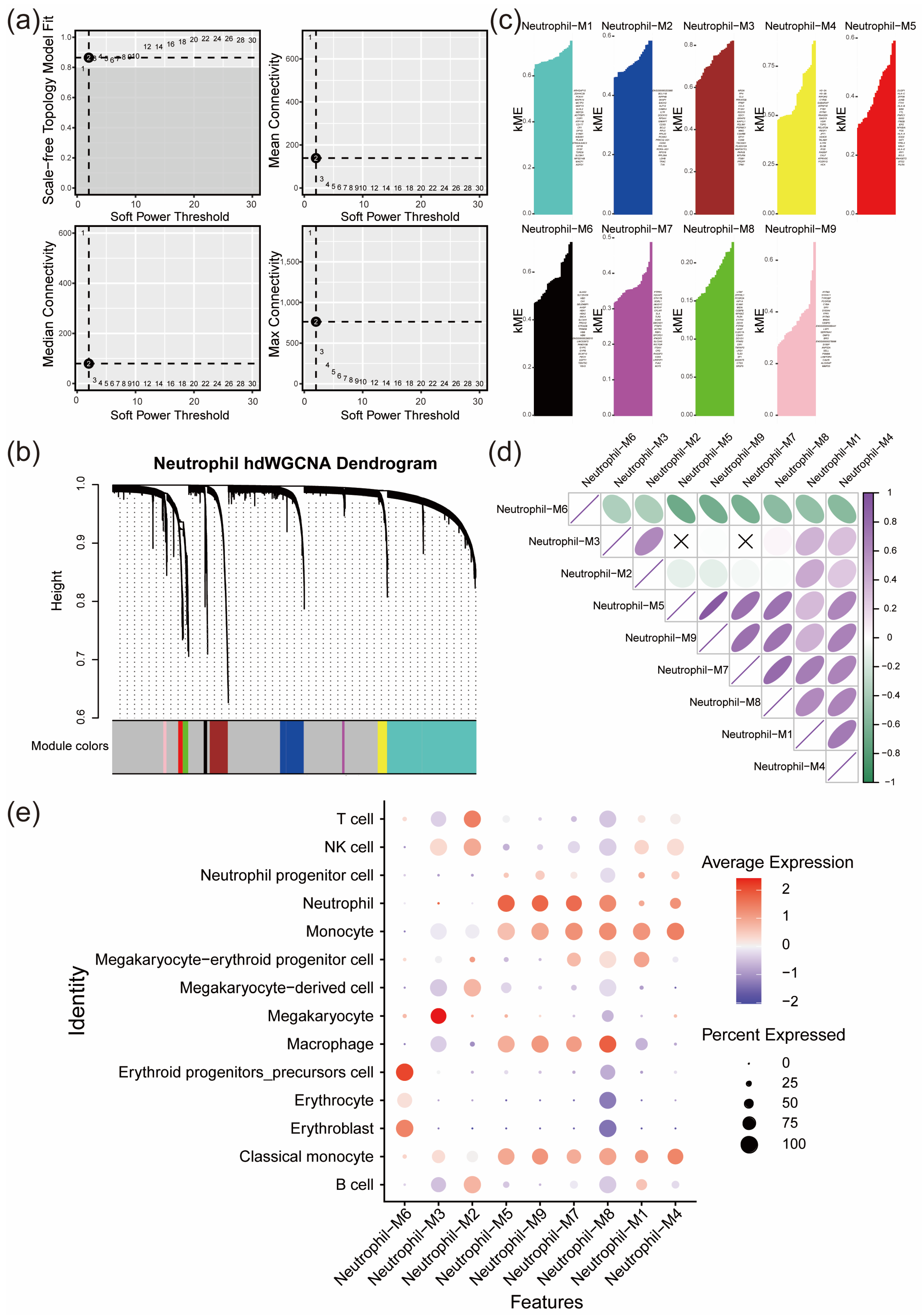 Integrative miRNA–mRNA Network and Molecular Dynamics-Based ...