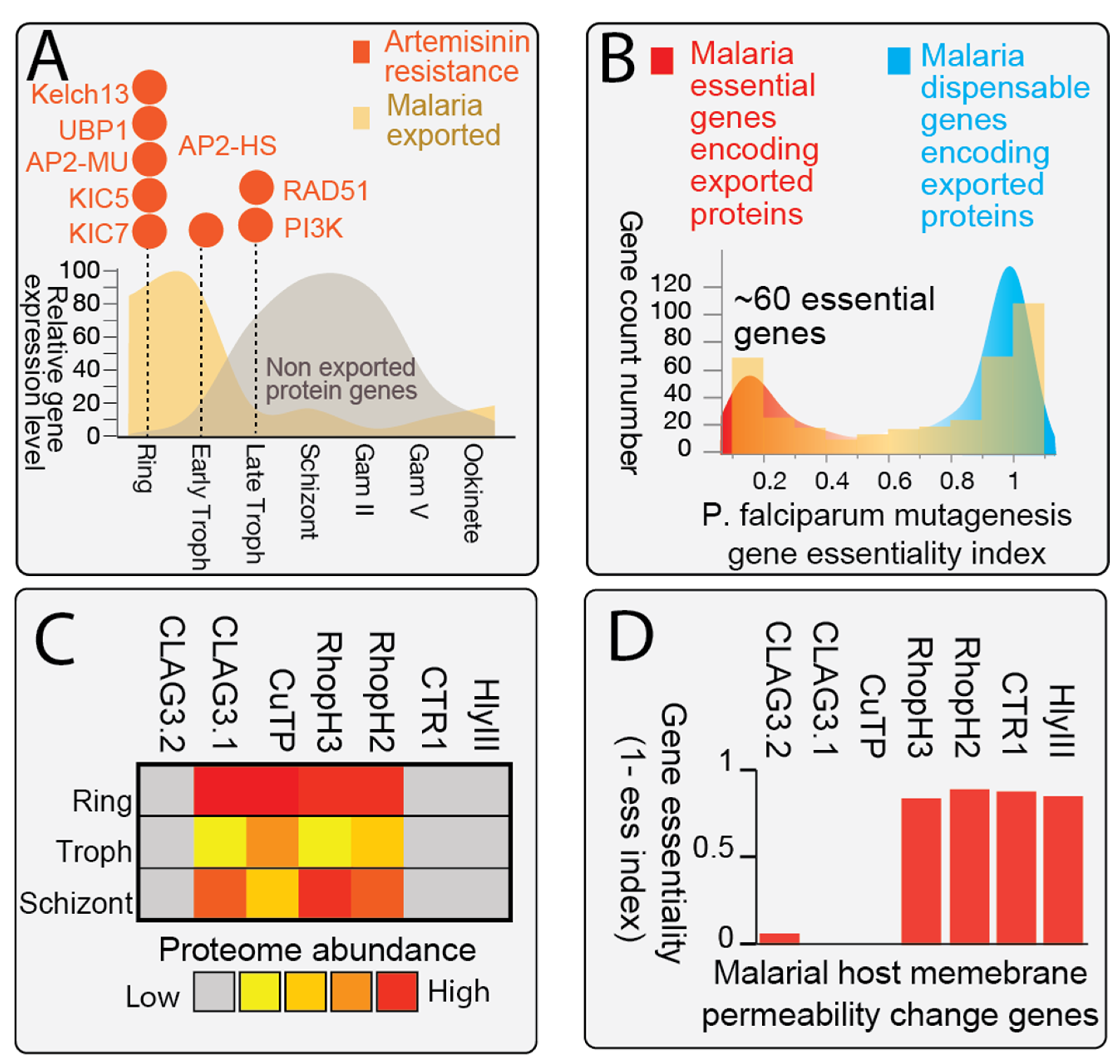 Targeting Infected Host Cell Heme Metabolism to Kill Malaria Parasites