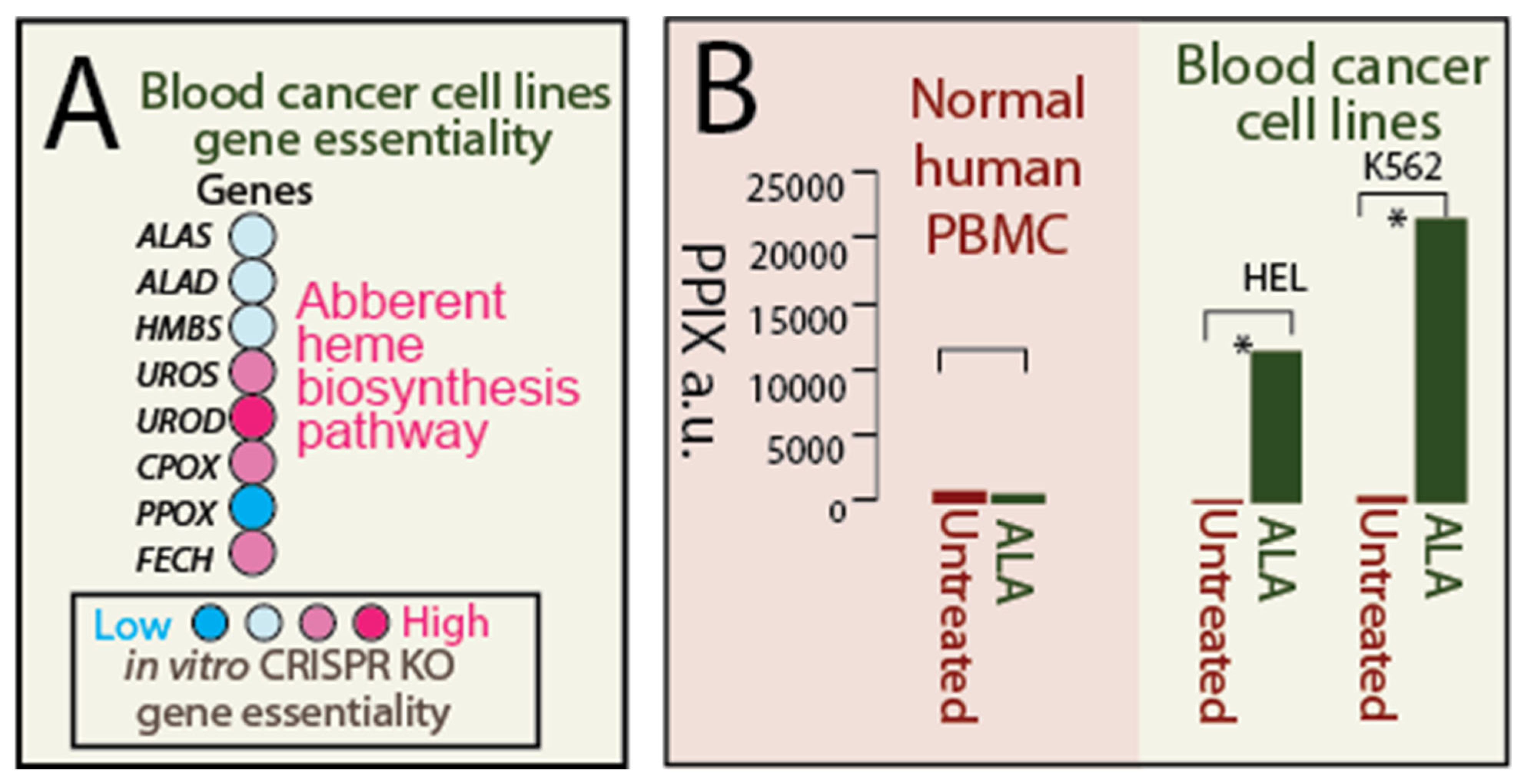 Targeting Infected Host Cell Heme Metabolism to Kill Malaria Parasites
