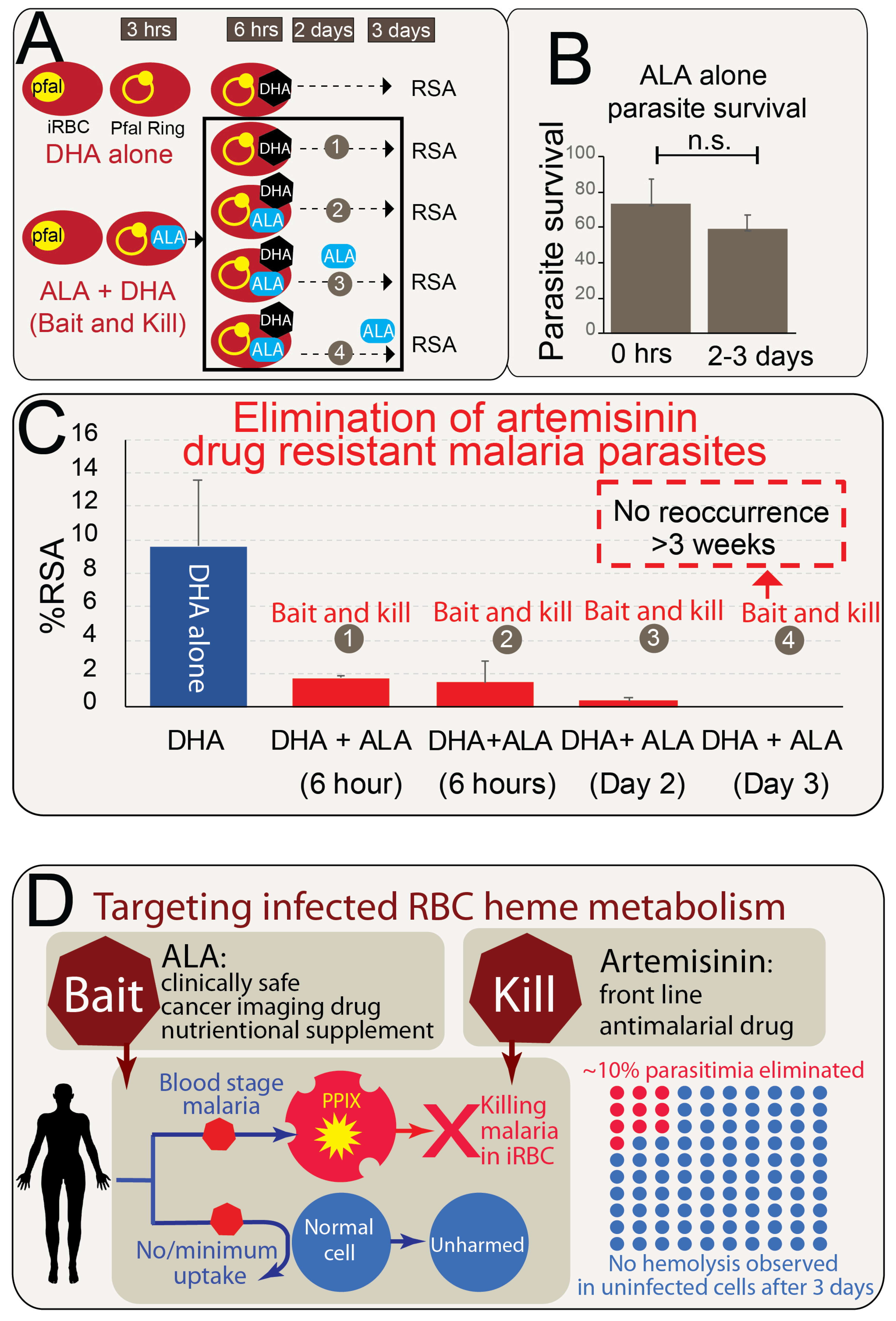 Targeting Infected Host Cell Heme Metabolism to Kill Malaria Parasites