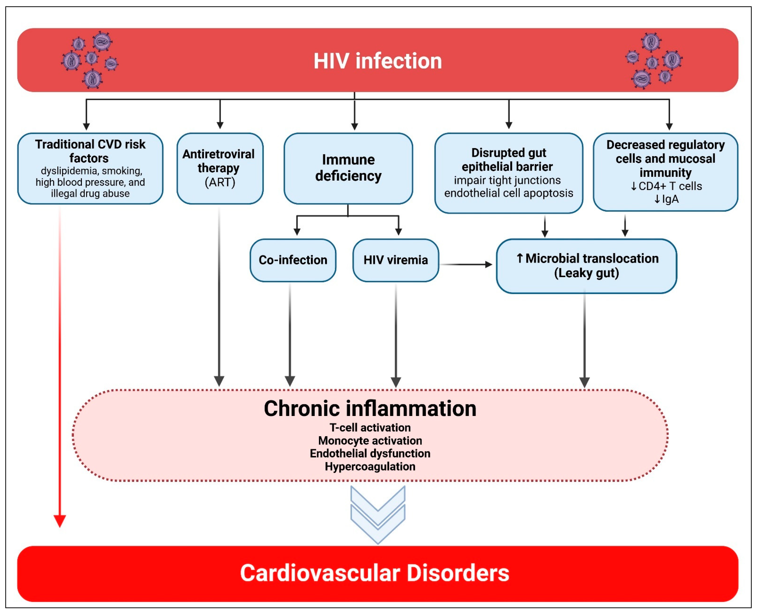 Antiviral Drugs in HIV and Cardiovascular Disease: Mechanistic Insights ...