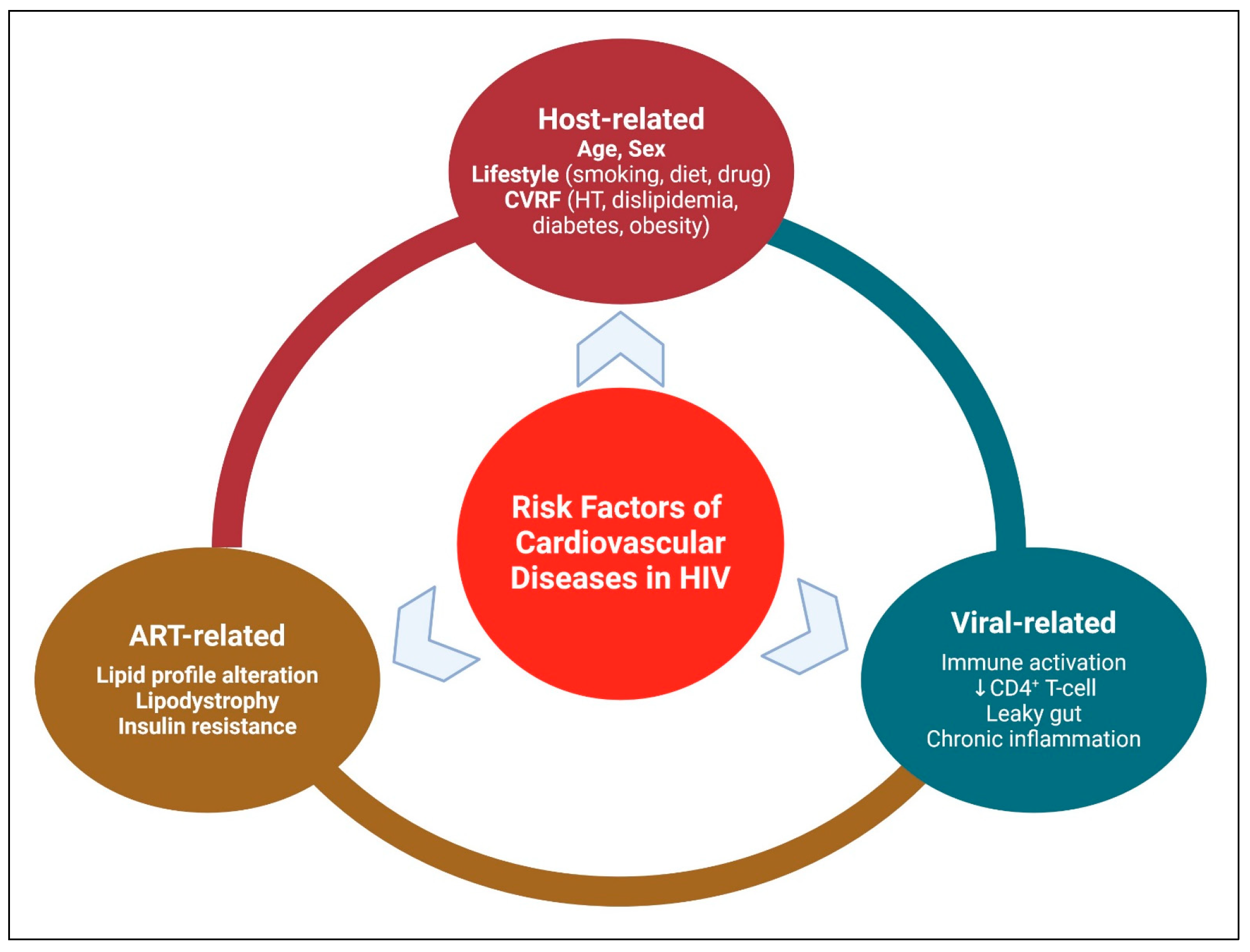 Antiviral Drugs in HIV and Cardiovascular Disease: Mechanistic Insights ...