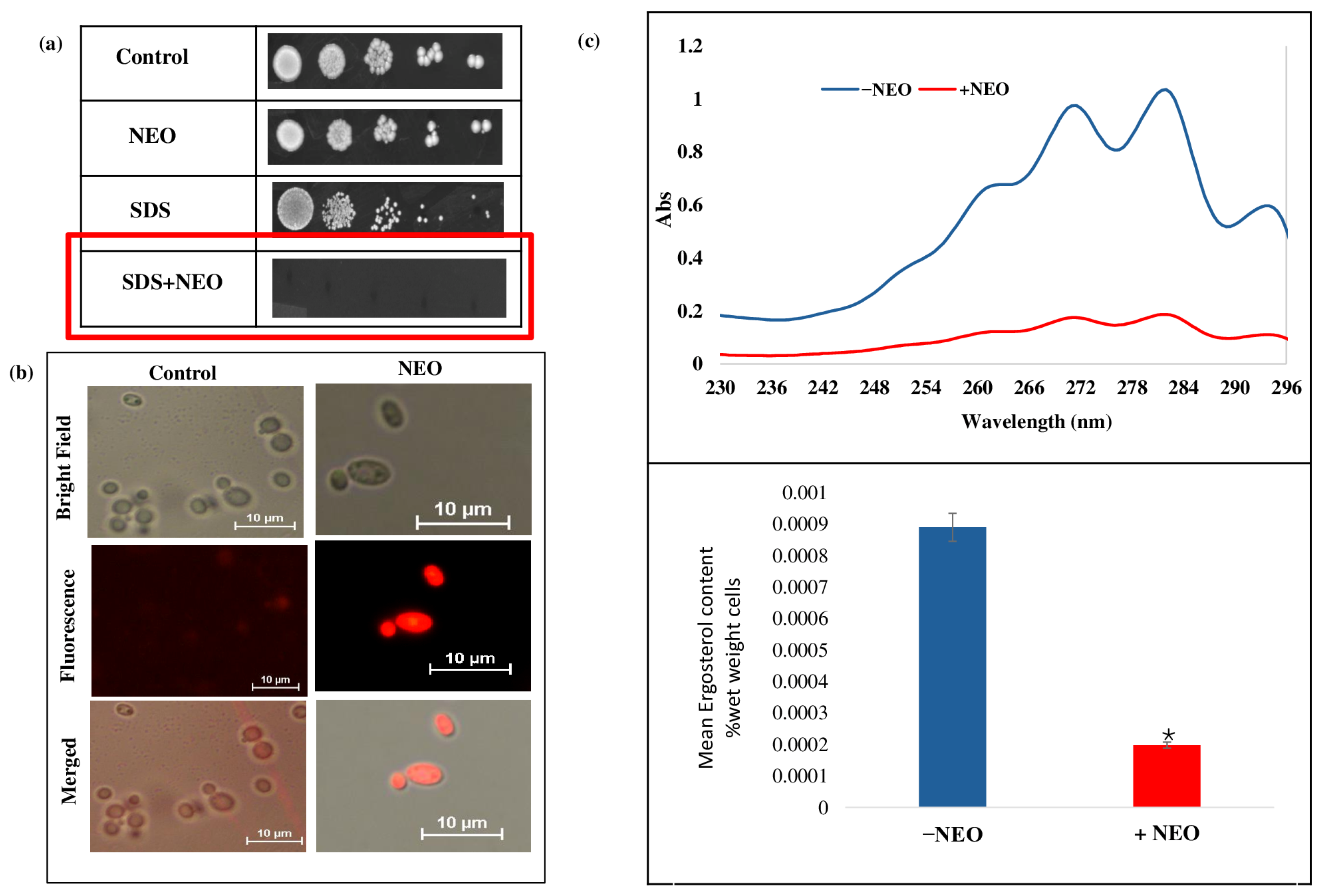 Unmasking the Fungicidal Potency and Multifaceted Mechanisms of Nutmeg ...