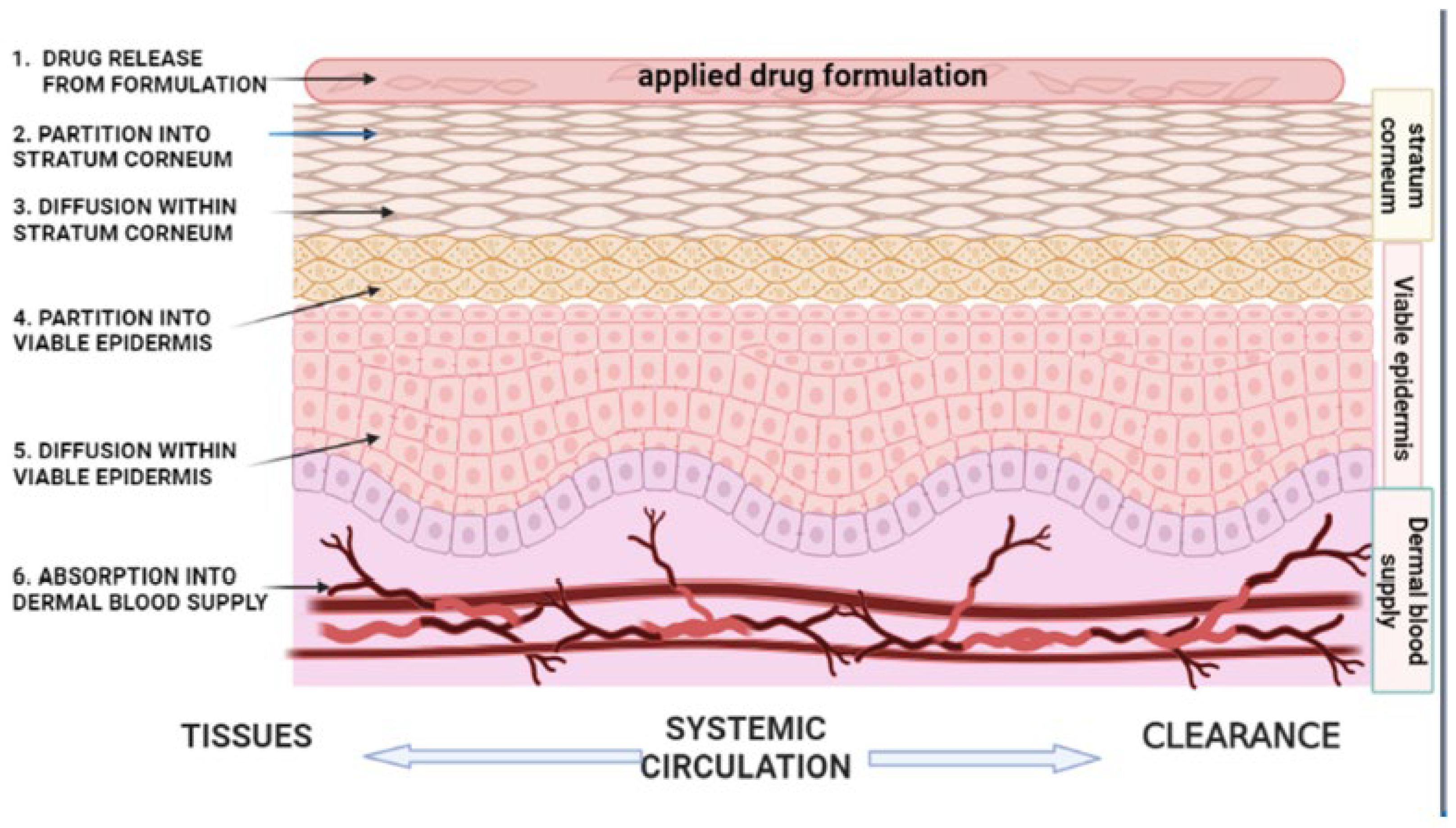 Nanoemulgels as Advanced Topical Drug Delivery Systems: Mechanistic ...
