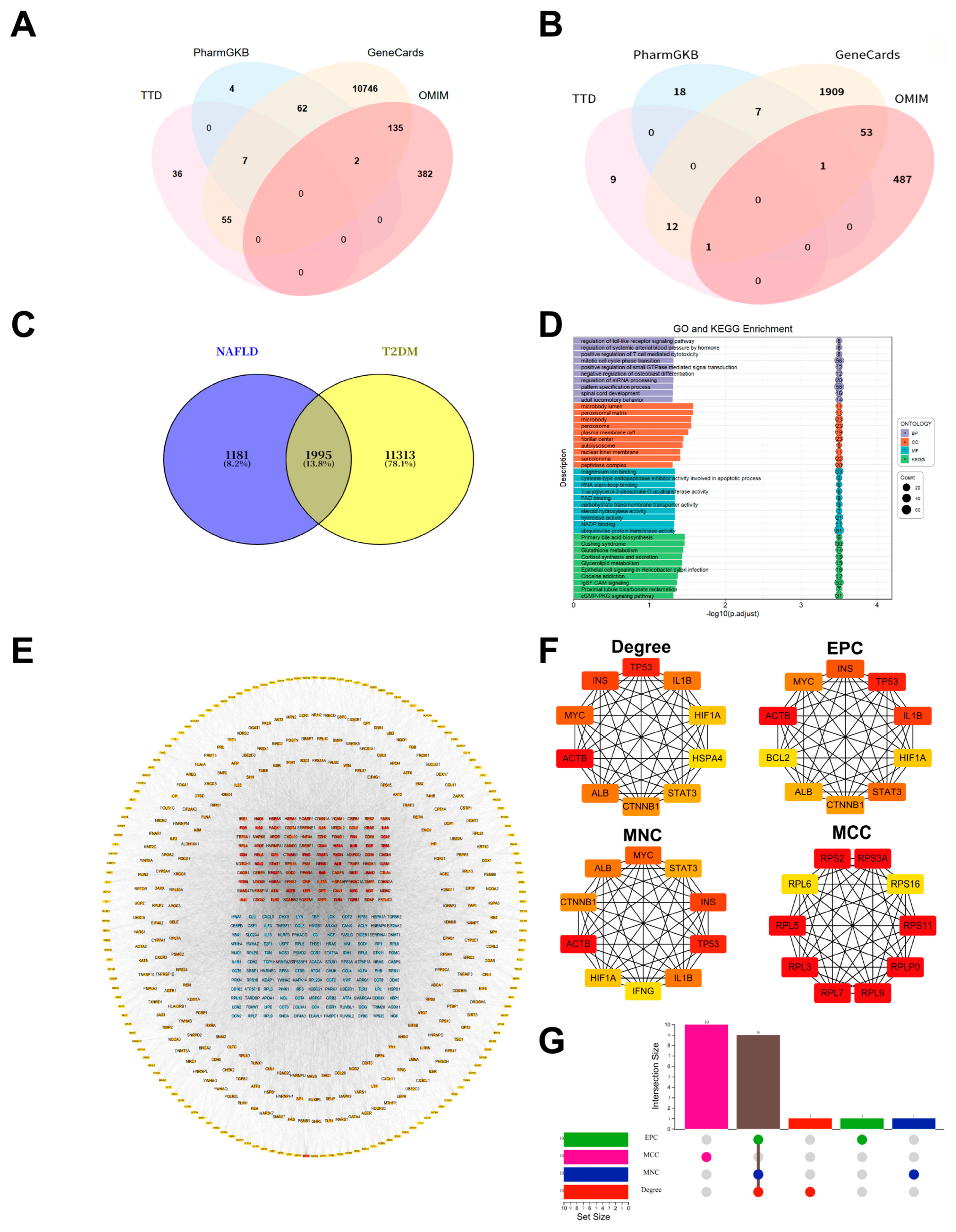Mechanistic Investigation of Astragalus Root in the Management of T2DM ...