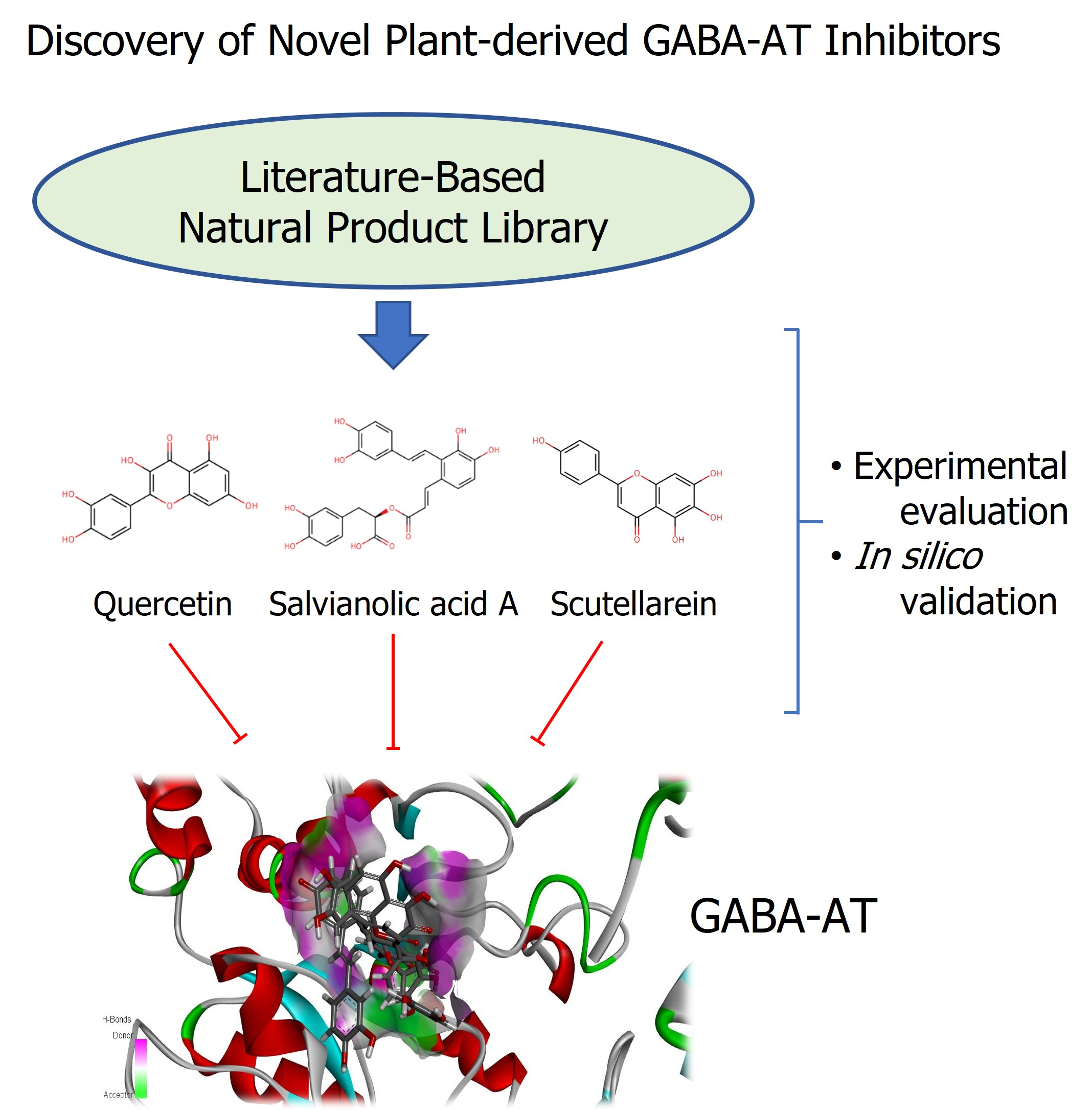 Discovery of Plant-Derived Natural Compounds as Novel GABA ...