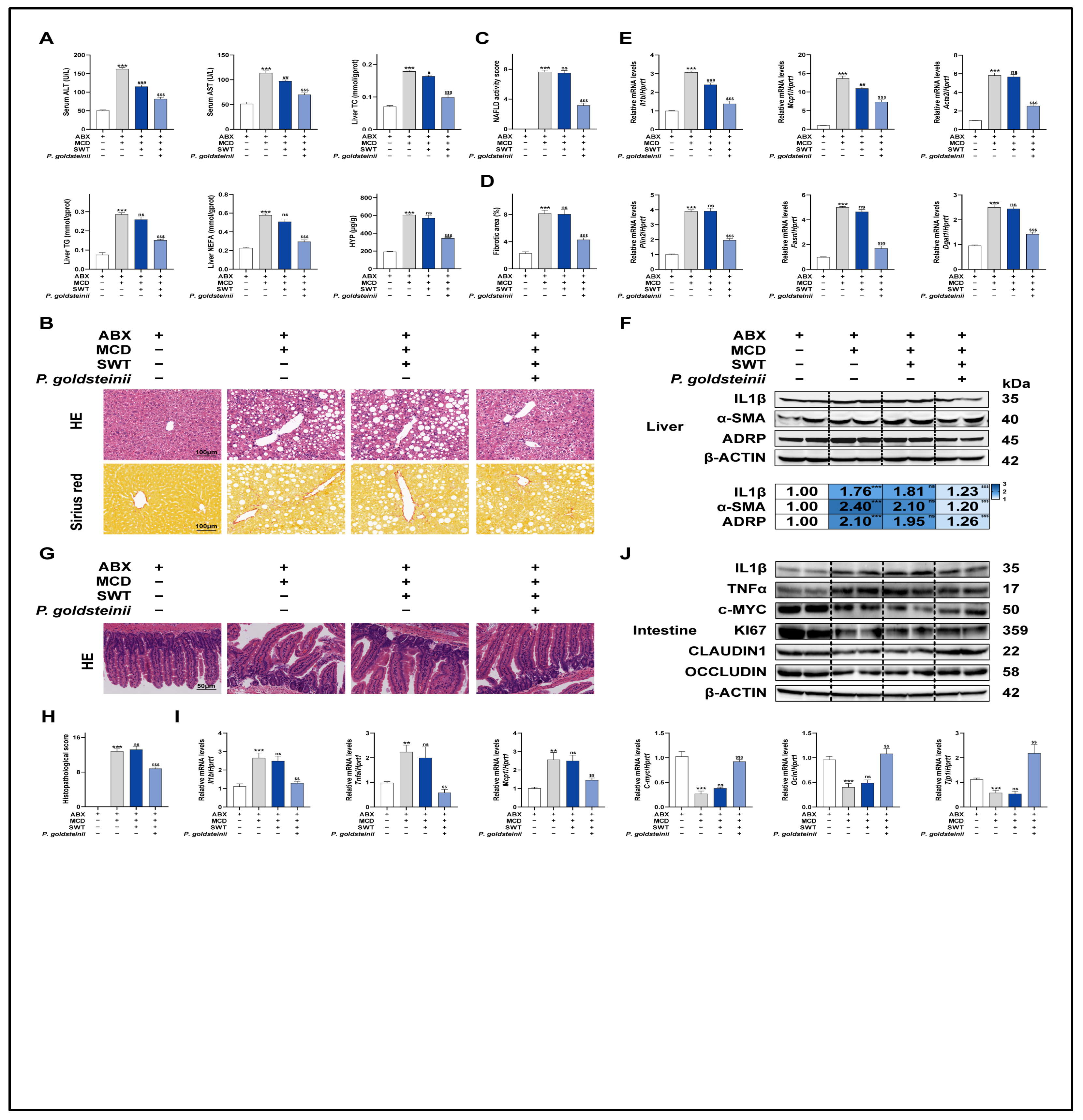 Si-Wu-Tang Targets Microbiota Homeostasis and Intestinal Mucosal ...