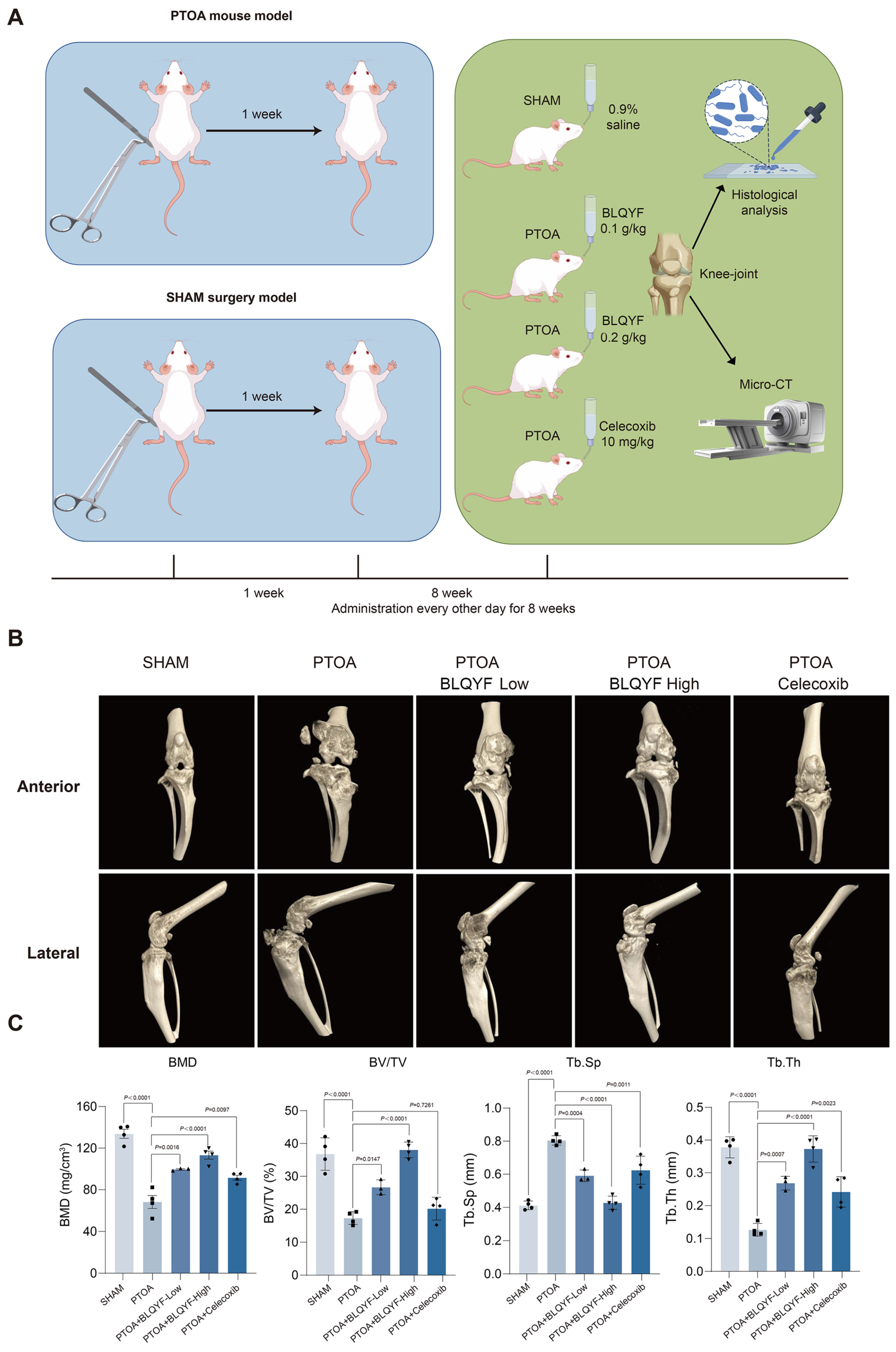 Biluo Qianyuan Formula Ameliorates Post-Traumatic Osteoarthritis by ...