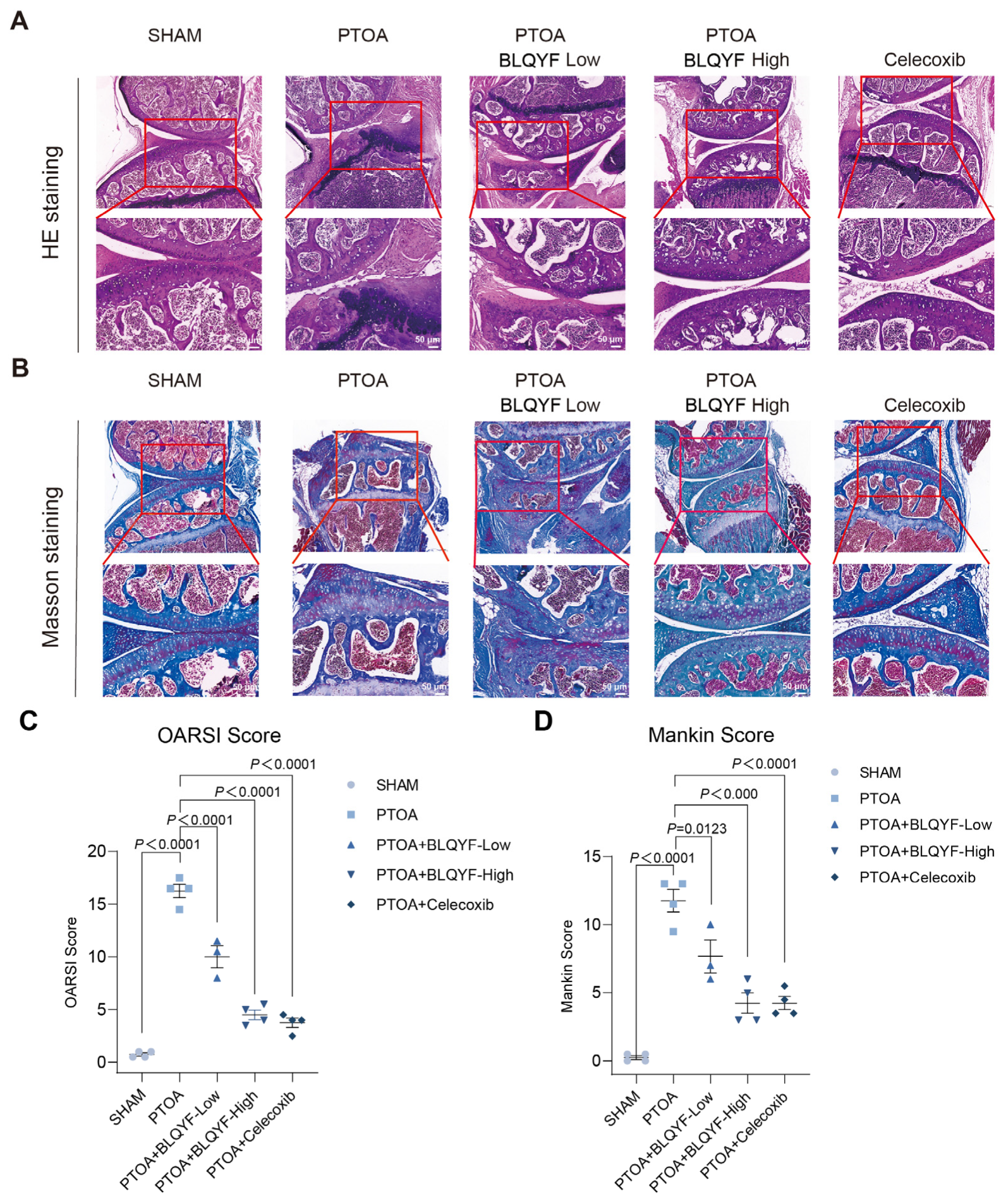 Biluo Qianyuan Formula Ameliorates Post-Traumatic Osteoarthritis by ...
