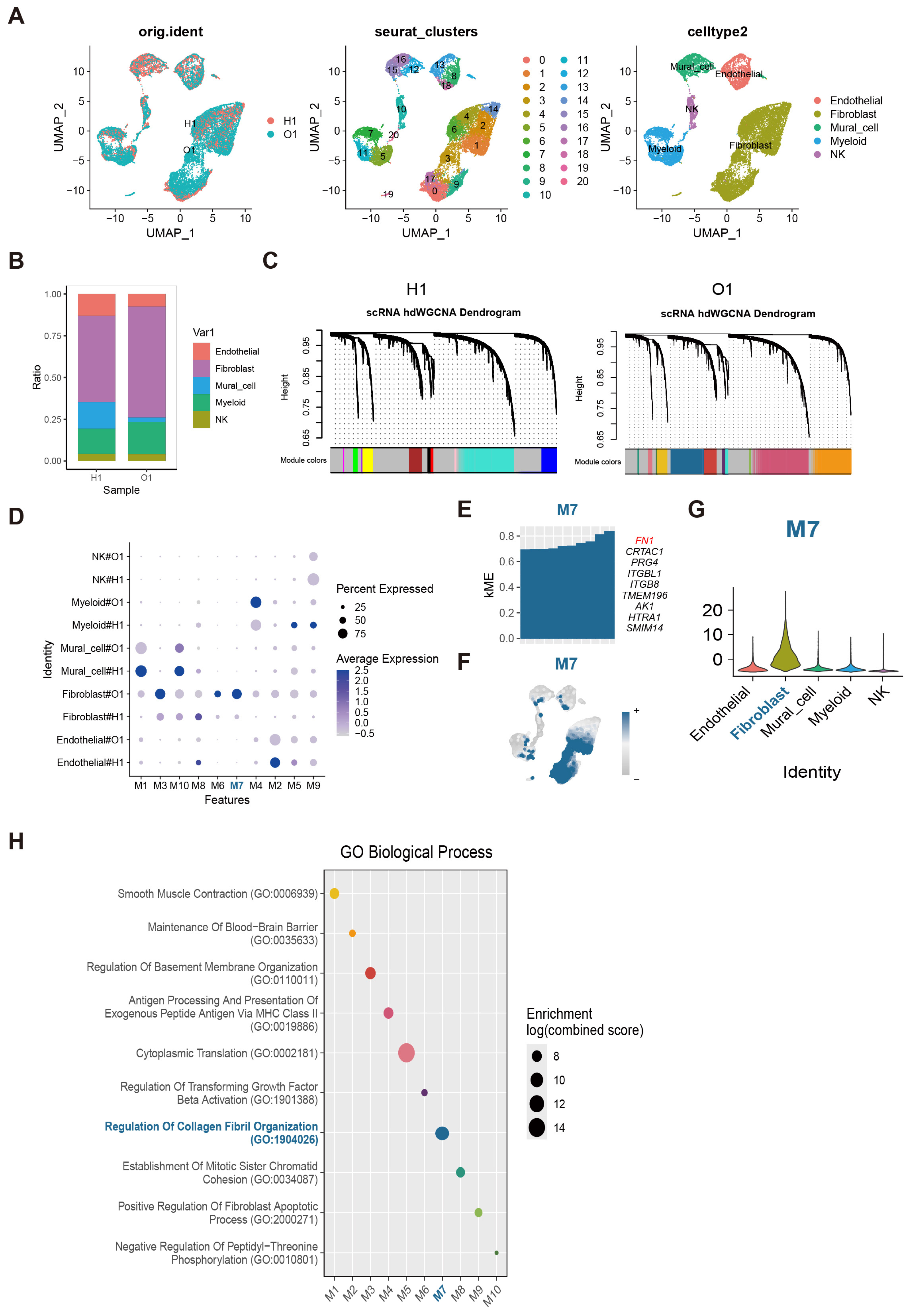 Biluo Qianyuan Formula Ameliorates Post-Traumatic Osteoarthritis by ...