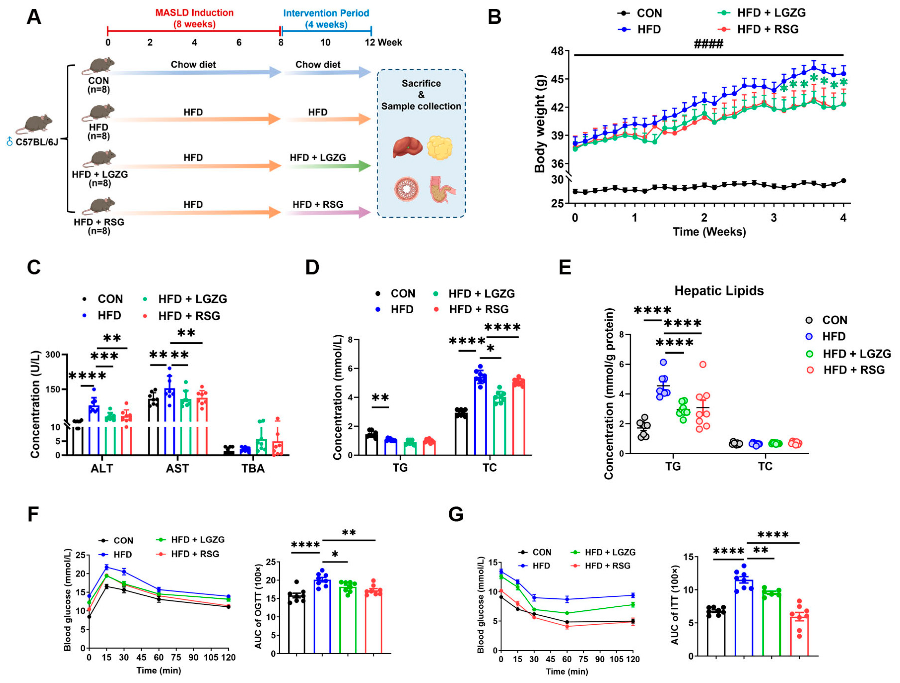 Lingguizhugan Decoction Ameliorates MASLD by Modulating the Gut ...