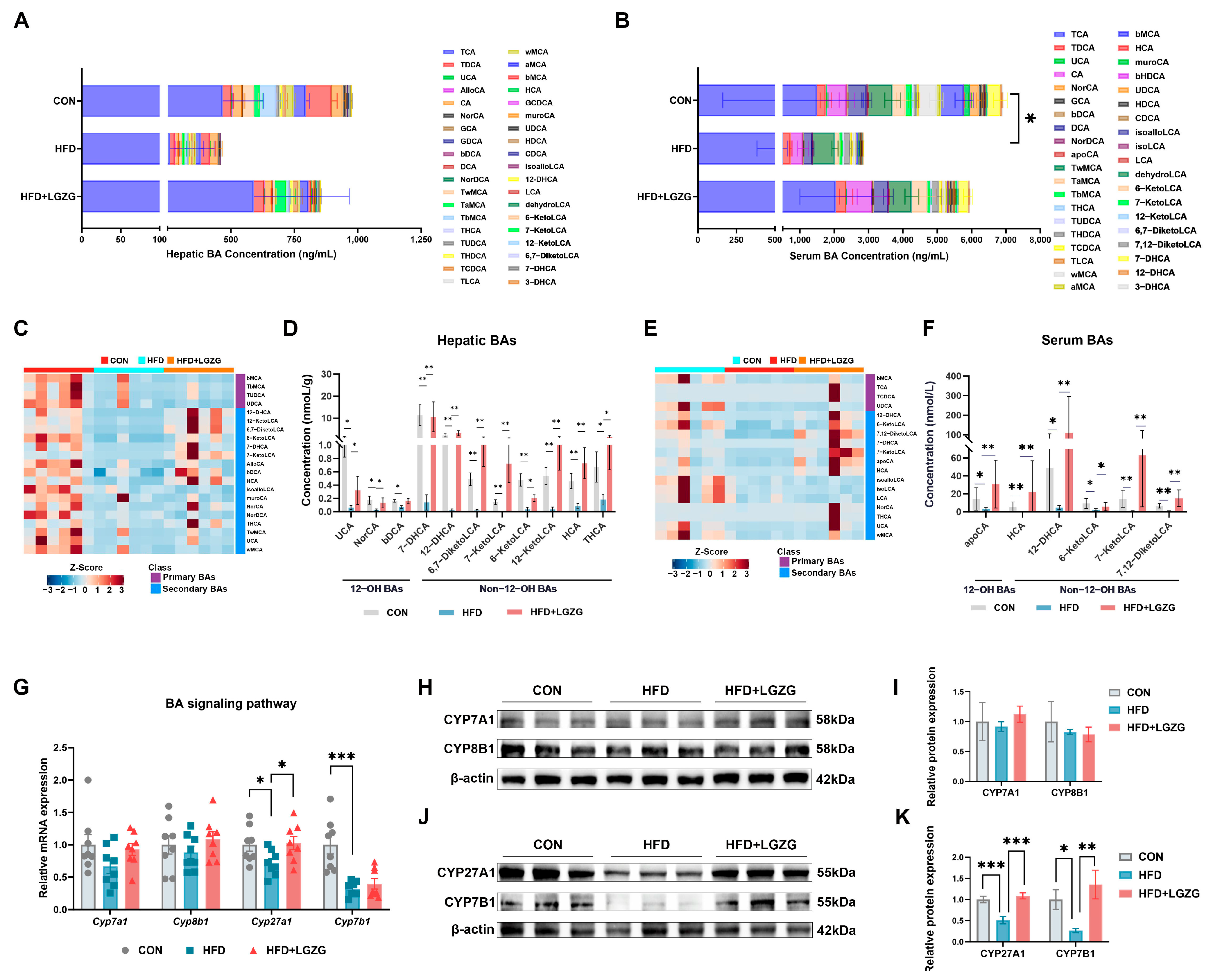Lingguizhugan Decoction Ameliorates MASLD by Modulating the Gut ...
