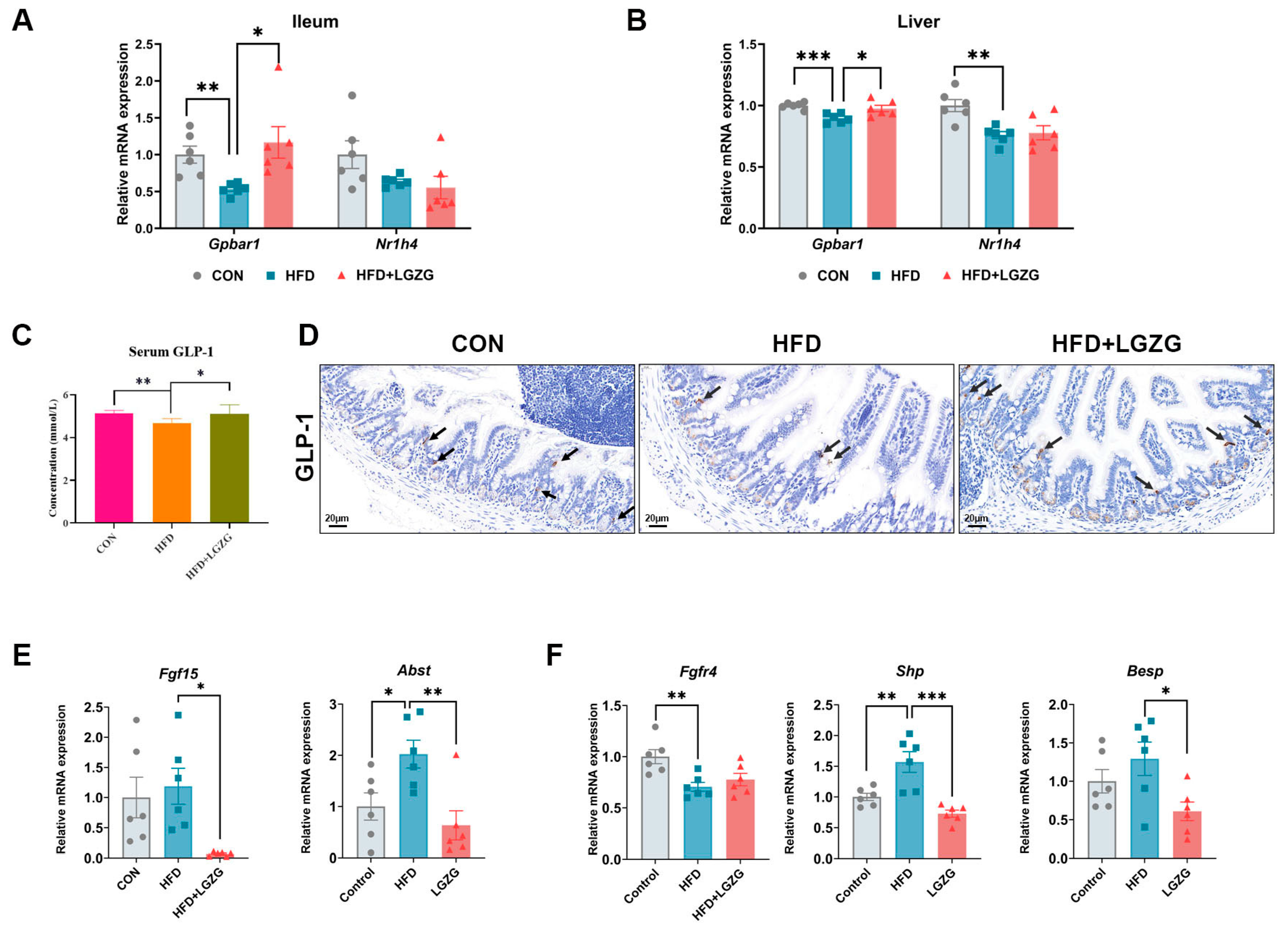 Lingguizhugan Decoction Ameliorates MASLD by Modulating the Gut ...