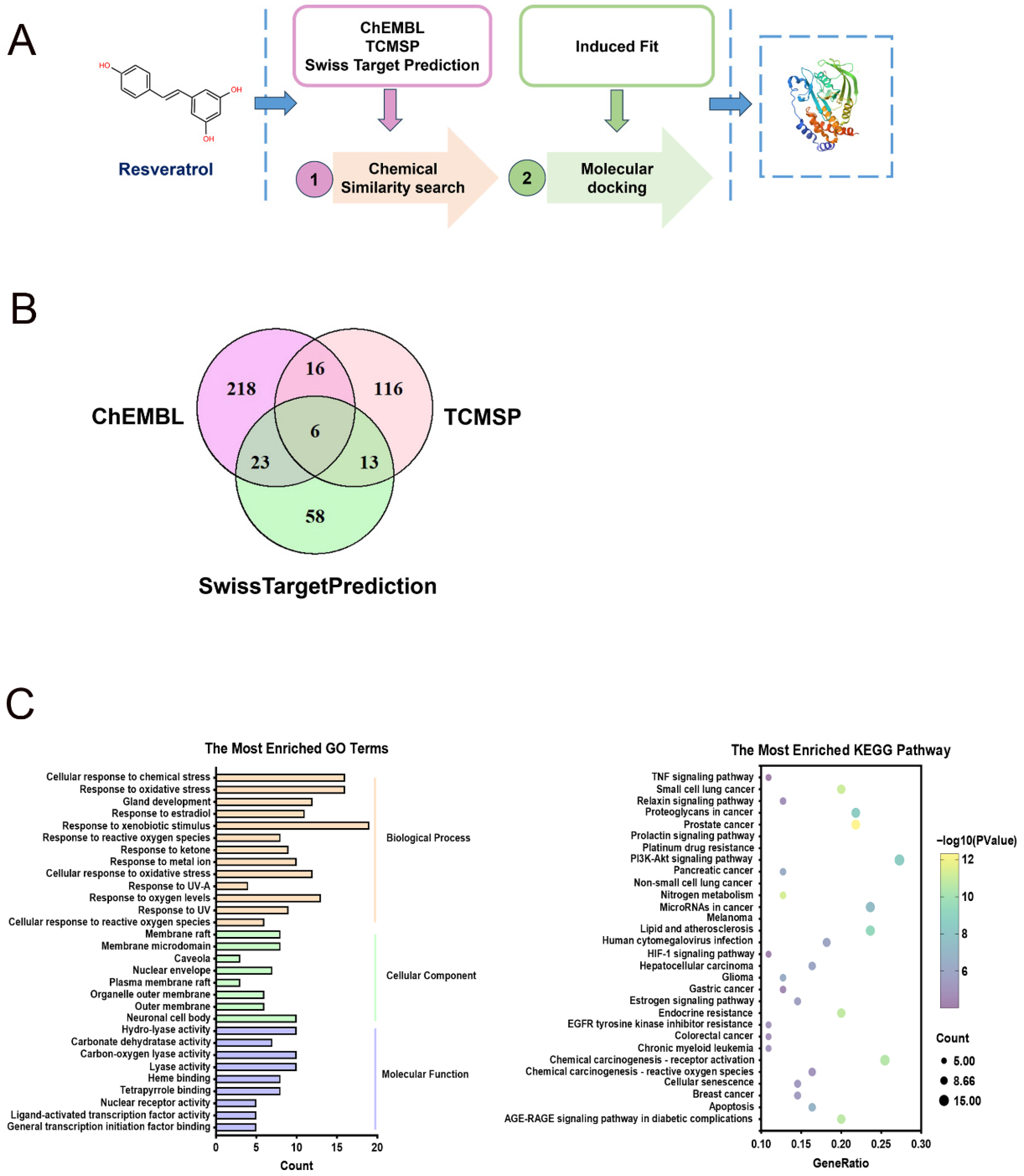Resveratrol Induces Proteasomal Degradation of PTPN1 to Enhance ...