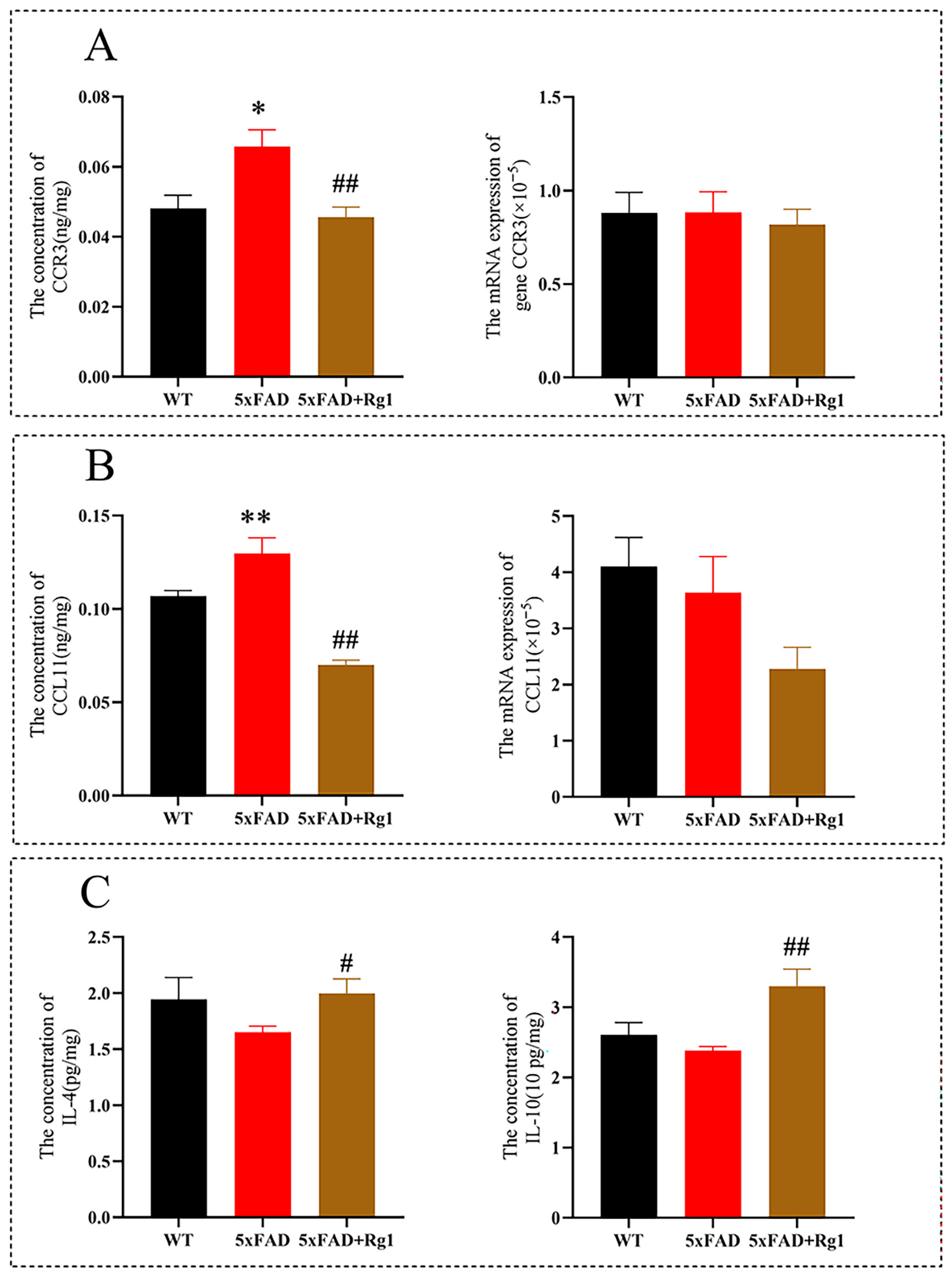 Ginsenoside Rg1 Ameliorates the Learning and Memory Deficits of 5xFAD ...
