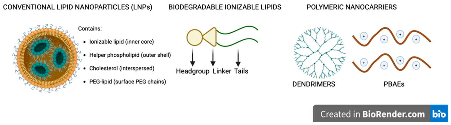 Delivery of mRNA Therapeutics Beyond Infectious Diseases: Design ...
