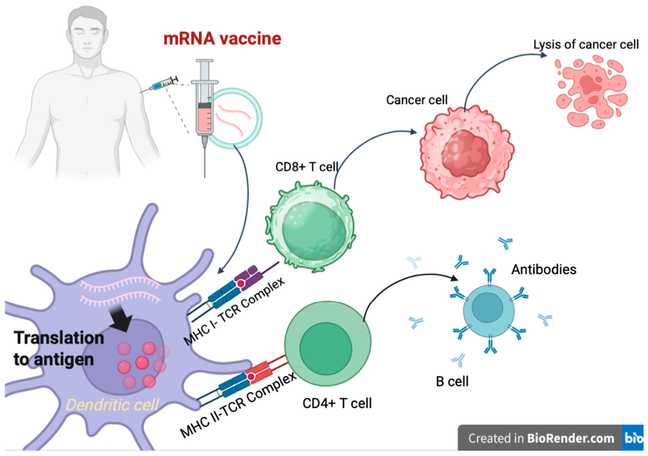 Delivery of mRNA Therapeutics Beyond Infectious Diseases: Design ...