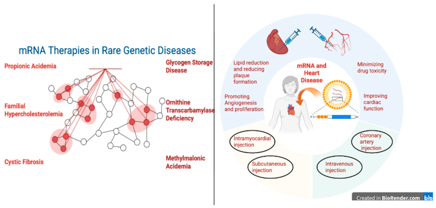 Delivery of mRNA Therapeutics Beyond Infectious Diseases: Design ...